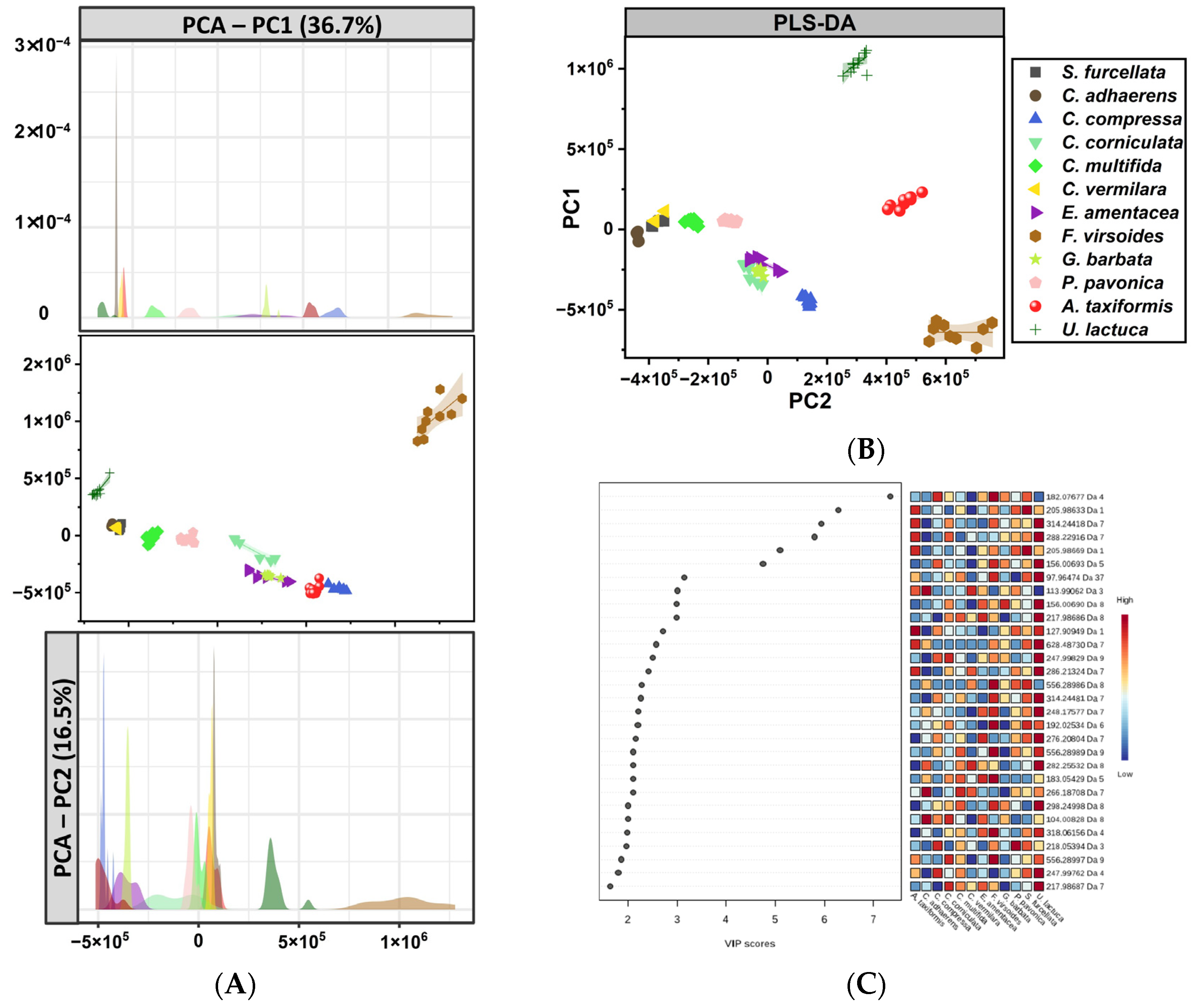 Unveiling the Metabolomic, Phytochemical and Bioactive Profile of ...
