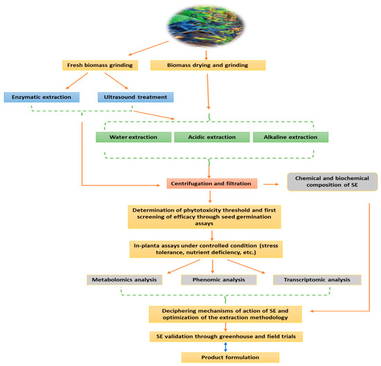 Trends in Seaweed Extract Based Biostimulants: Manufacturing Process ...
