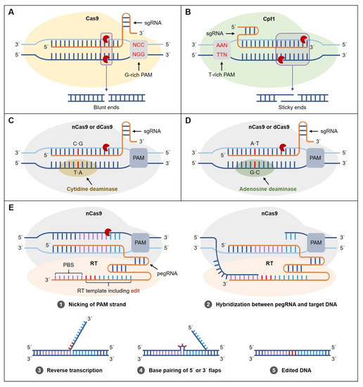 Plants | Free Full-Text | Progress and Challenges in the Improvement of ...