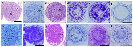 RNA Sequencing Reveals Rice Genes Involved in Male Reproductive ...