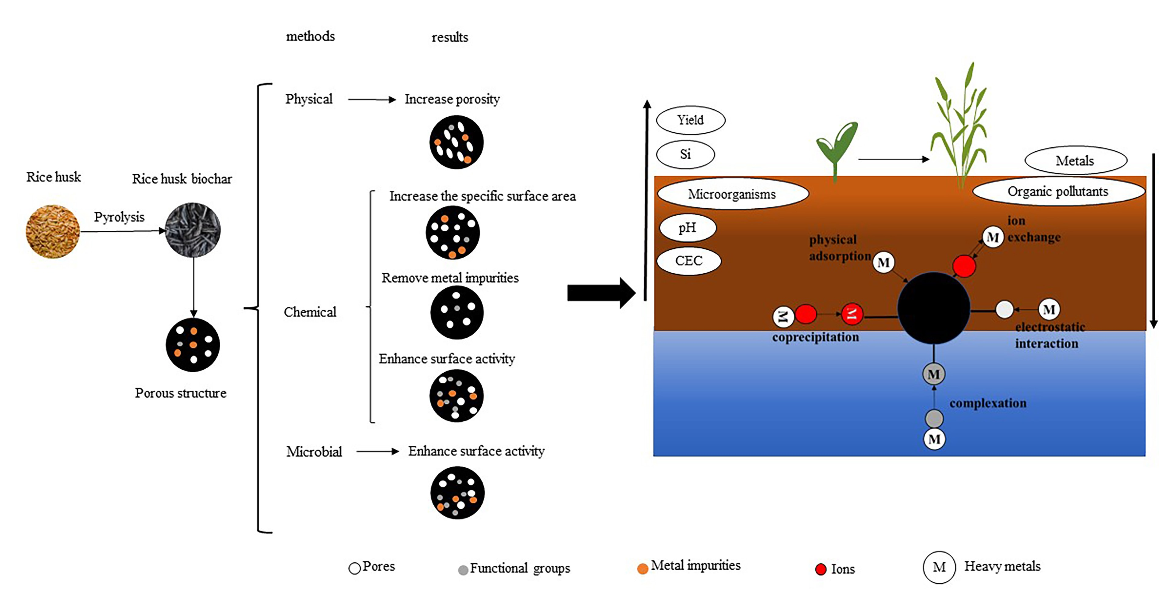 Review On Rice Husk Biochar As An Adsorbent For Soil And Water Remediation Review On Rice Husk Biochar As An Adsorbent For Soil And Water Remediation