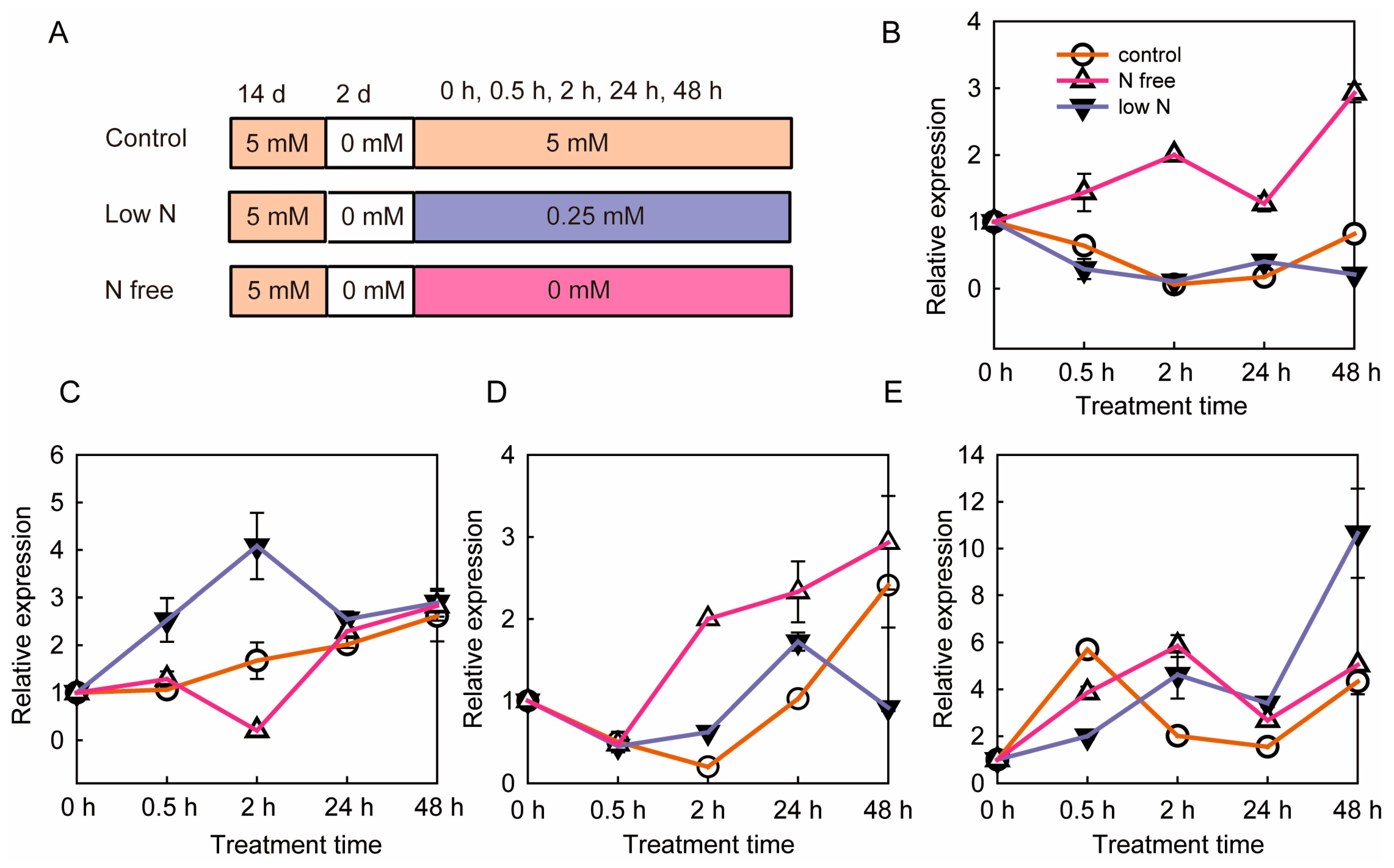 Spinach SoNRT3 Interacts with SoNRT2a to Improve Low-Nitrogen Tolerance ...