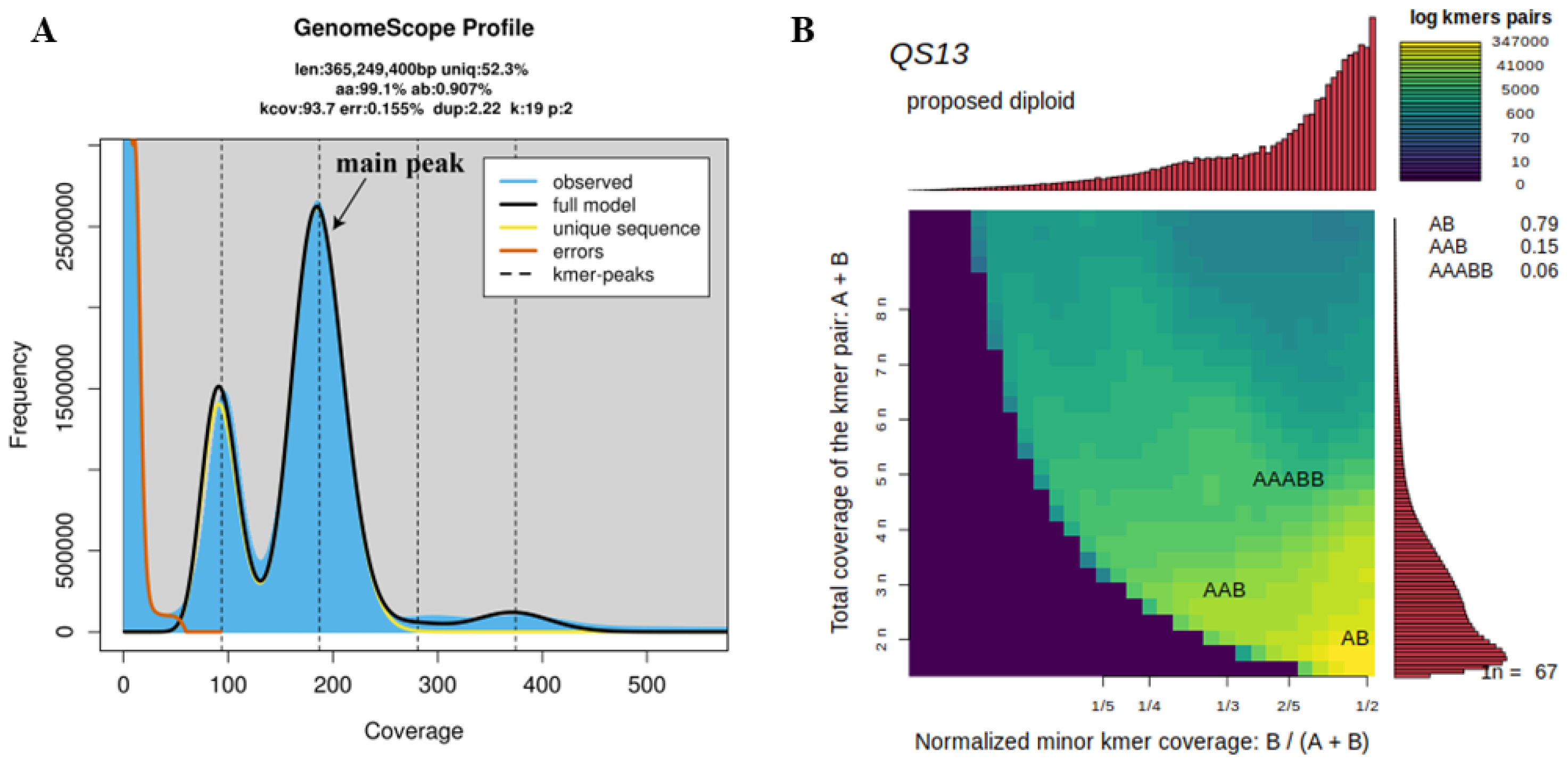 First Insights into Ploidy and Genome Size Estimation in Choerospondias ...