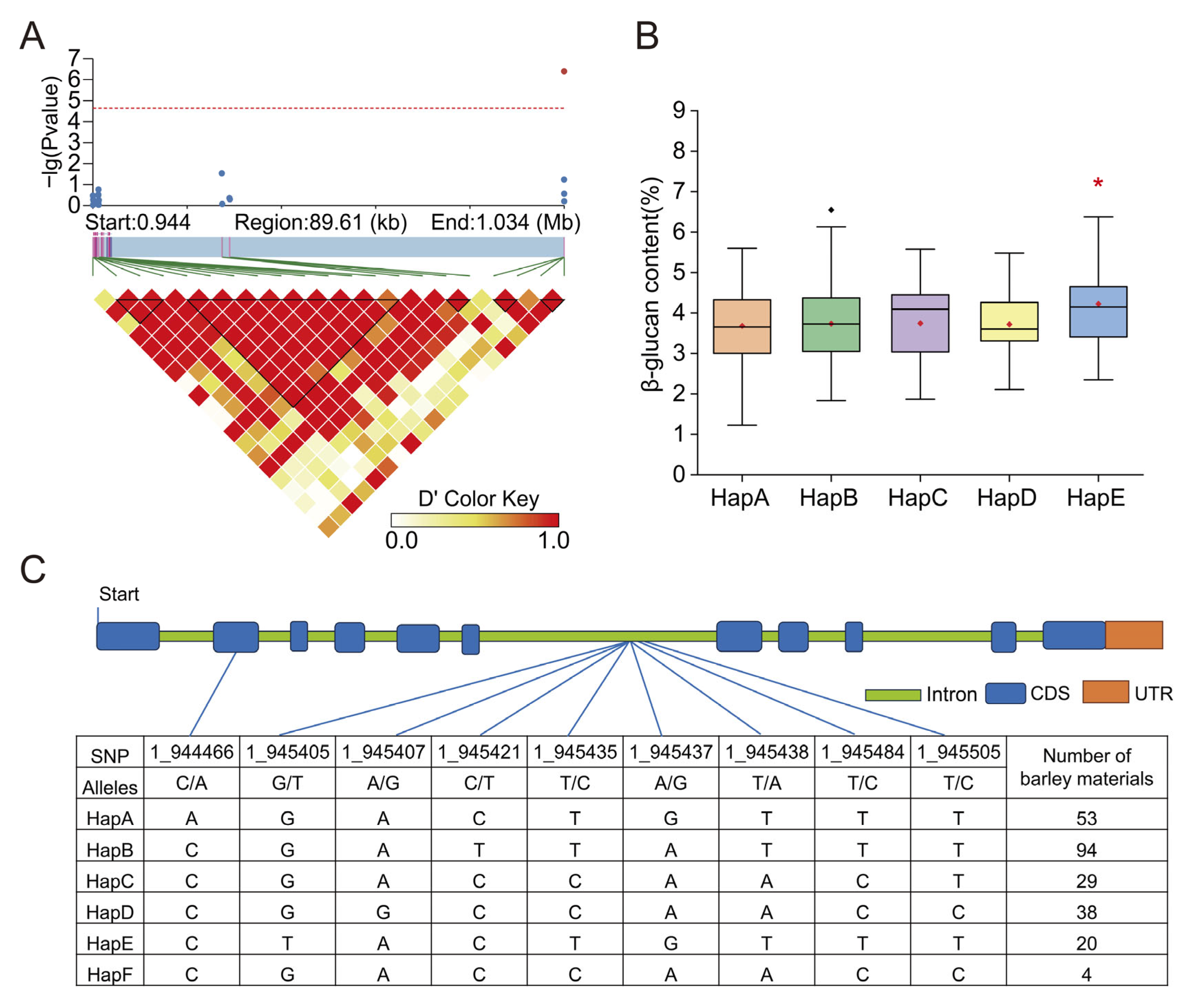 The Barley Glycosyltransferase Gene KOB1 Implicated in β-Glucan ...