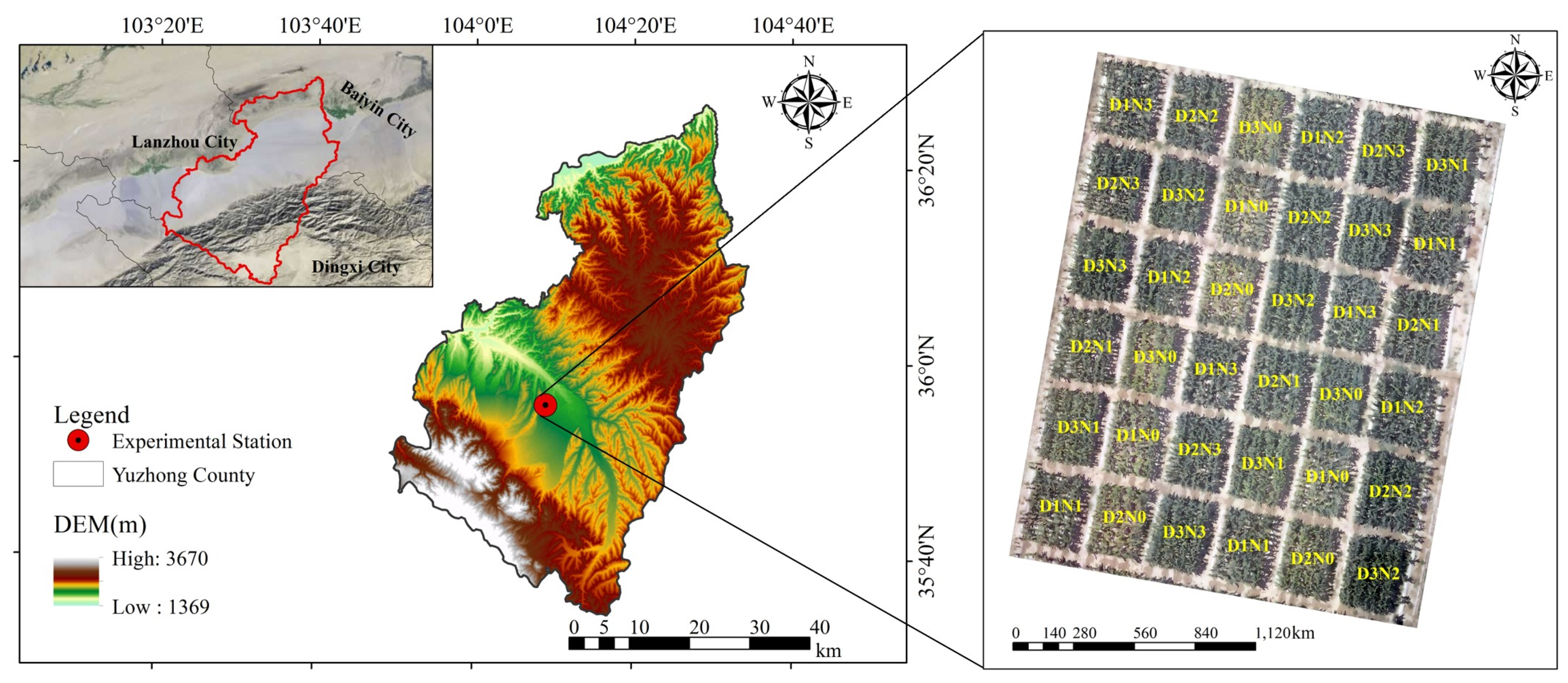 Estimating Maize Leaf Area Index Using Multi-Source Features Derived ...