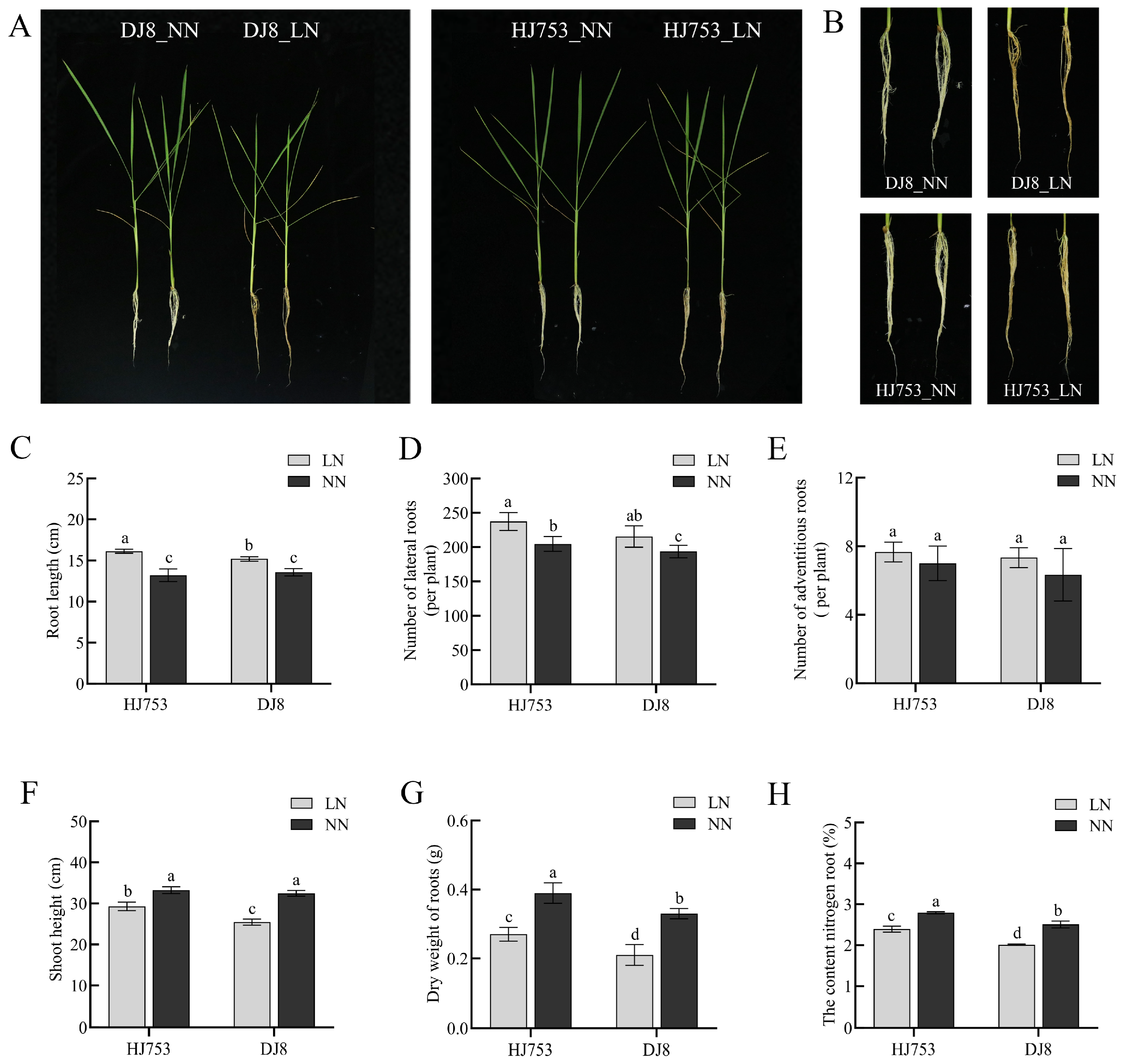 Comparative Physiological and Transcriptomic Characterisation of Two ...