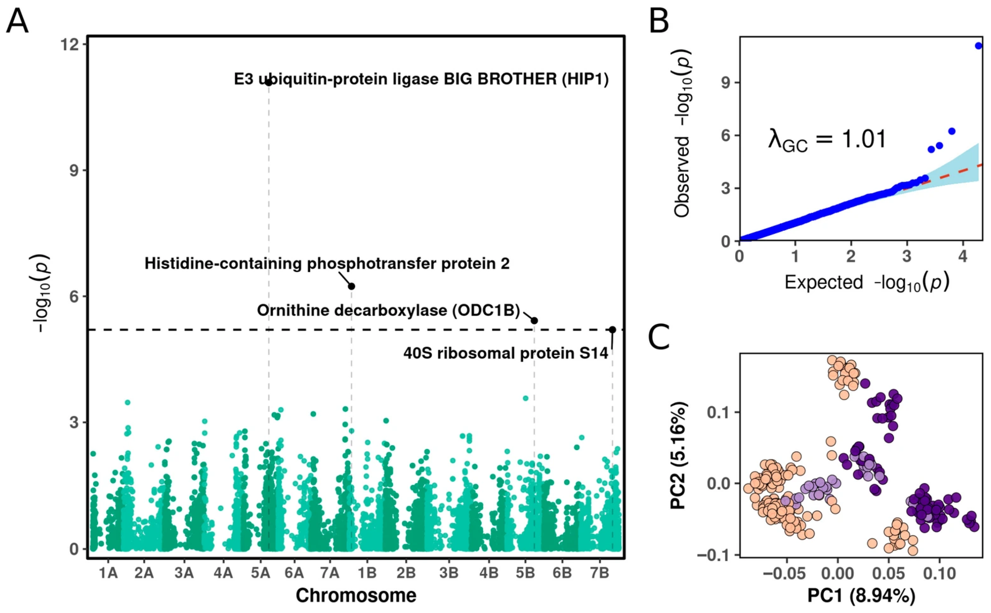 Genetic Dissection of Frost Tolerance in Winter Durum Wheat: Three ...