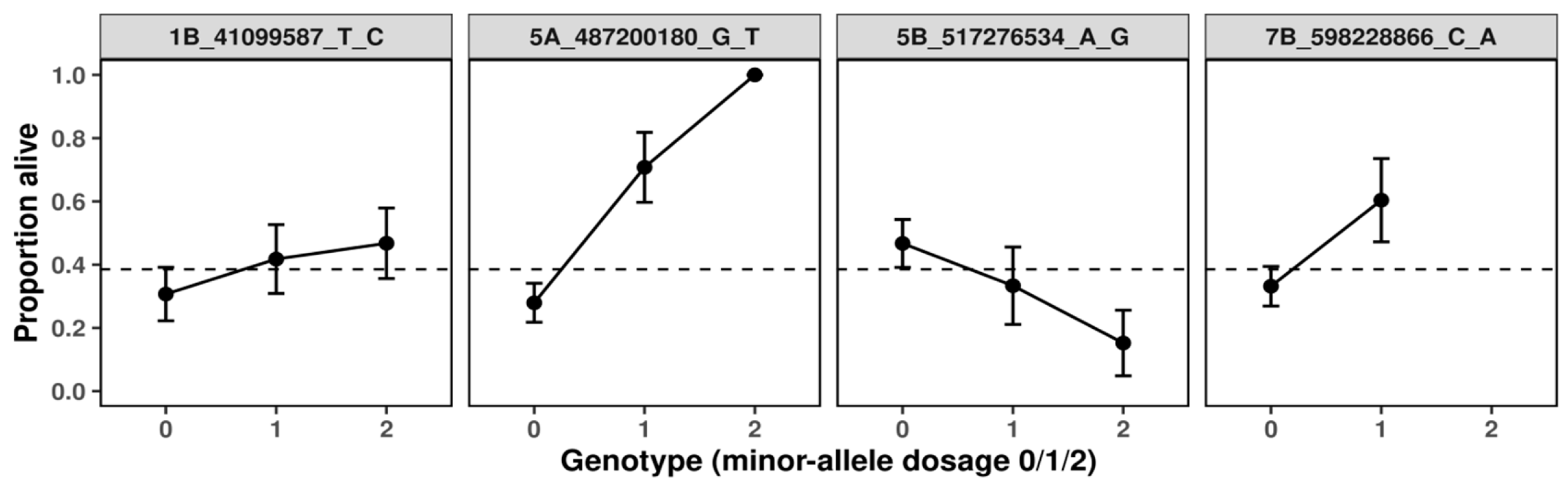 Genetic Dissection of Frost Tolerance in Winter Durum Wheat: Three ...