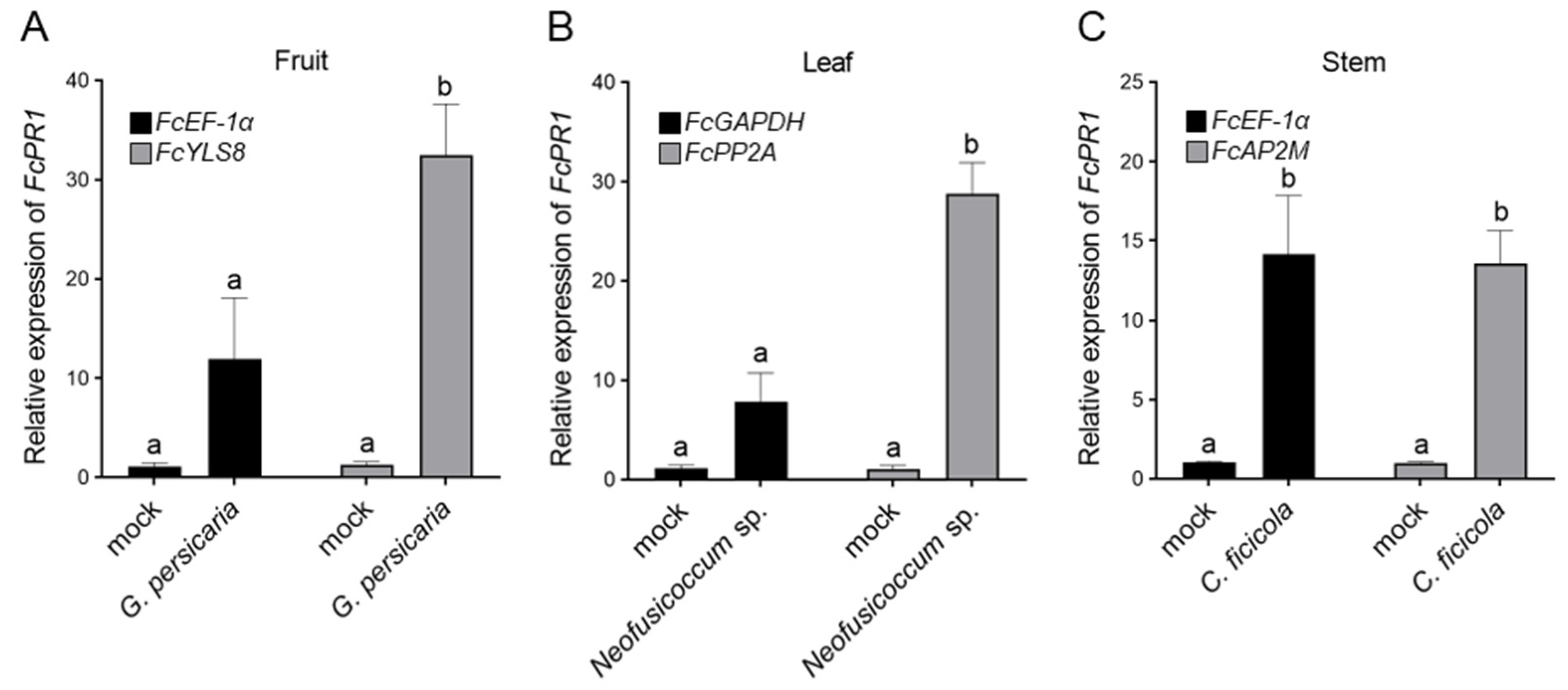 Identification and Validation of Reference Genes for Quantitative Real ...
