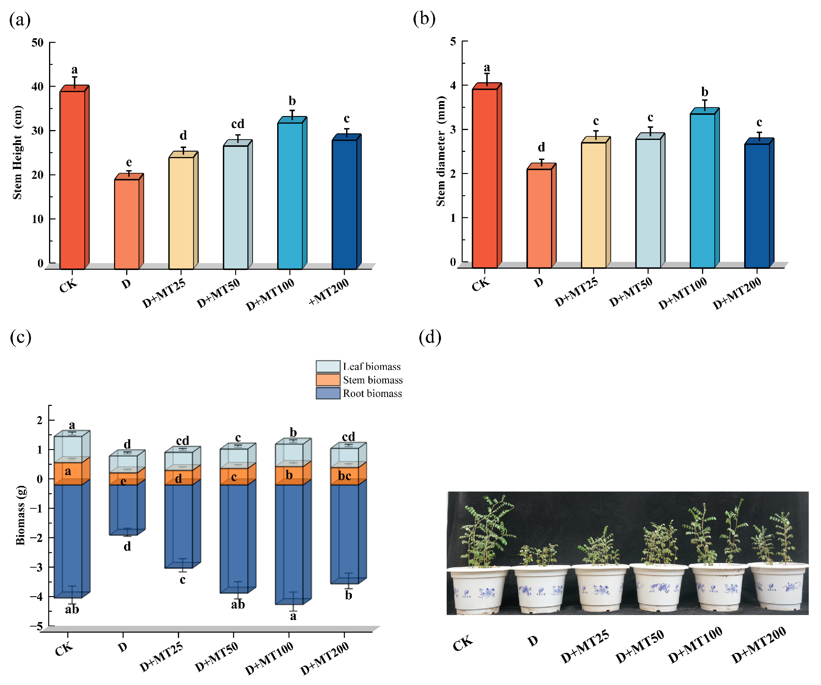 Exogenous Melatonin Increases Root Yield and Its Medicinal Quality of ...