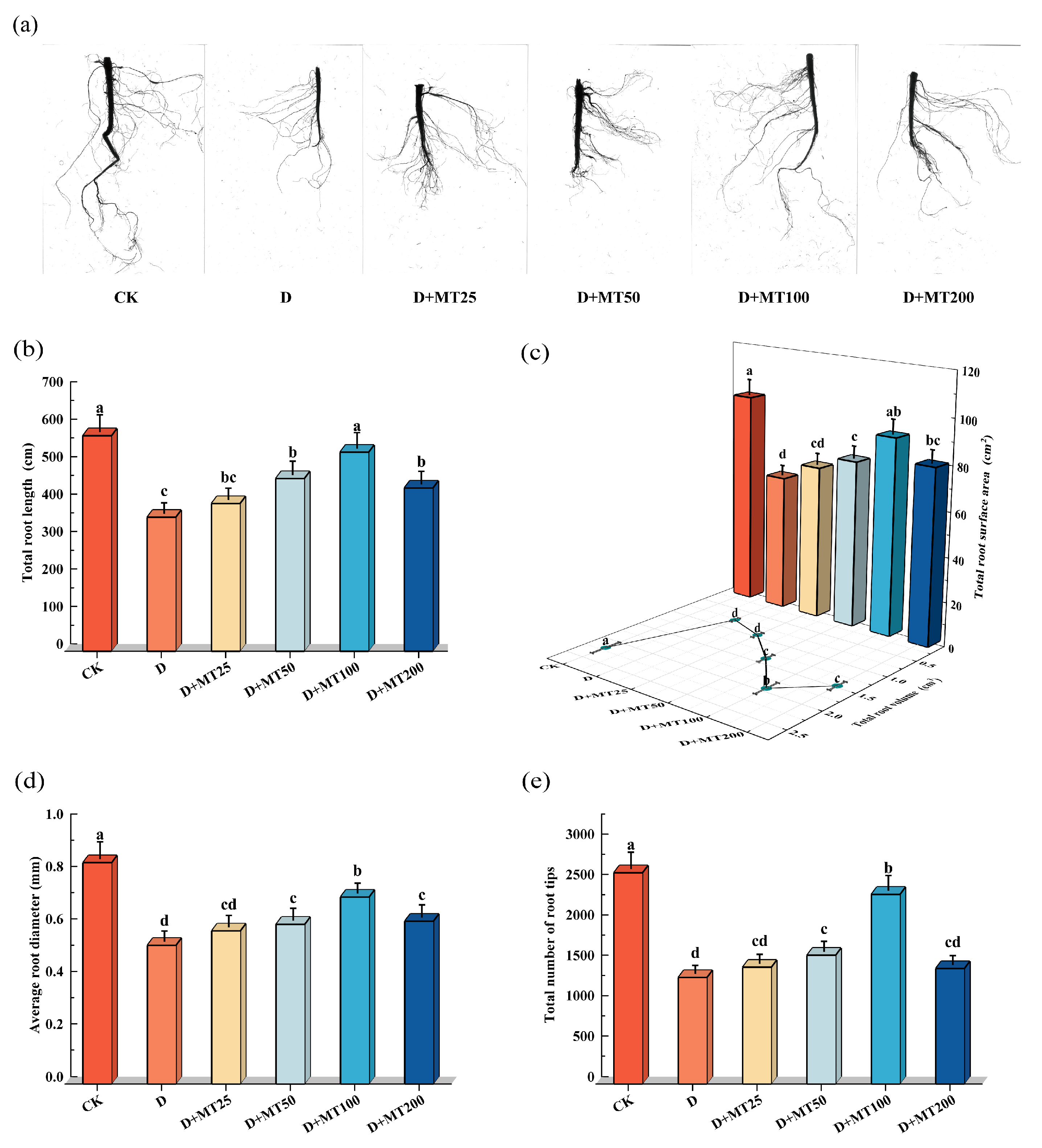 Exogenous Melatonin Increases Root Yield and Its Medicinal Quality of ...