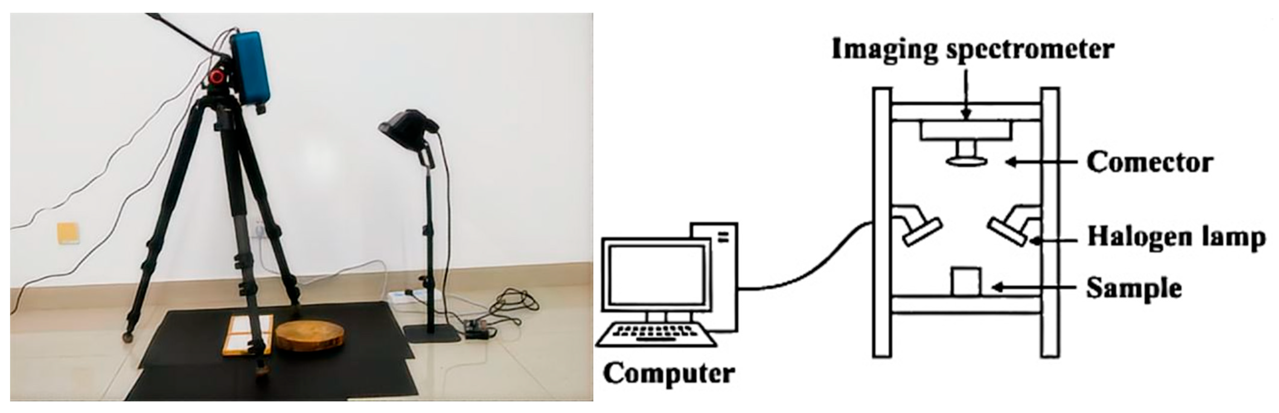 Research on Intelligent Wood Species Identification Method Based on ...
