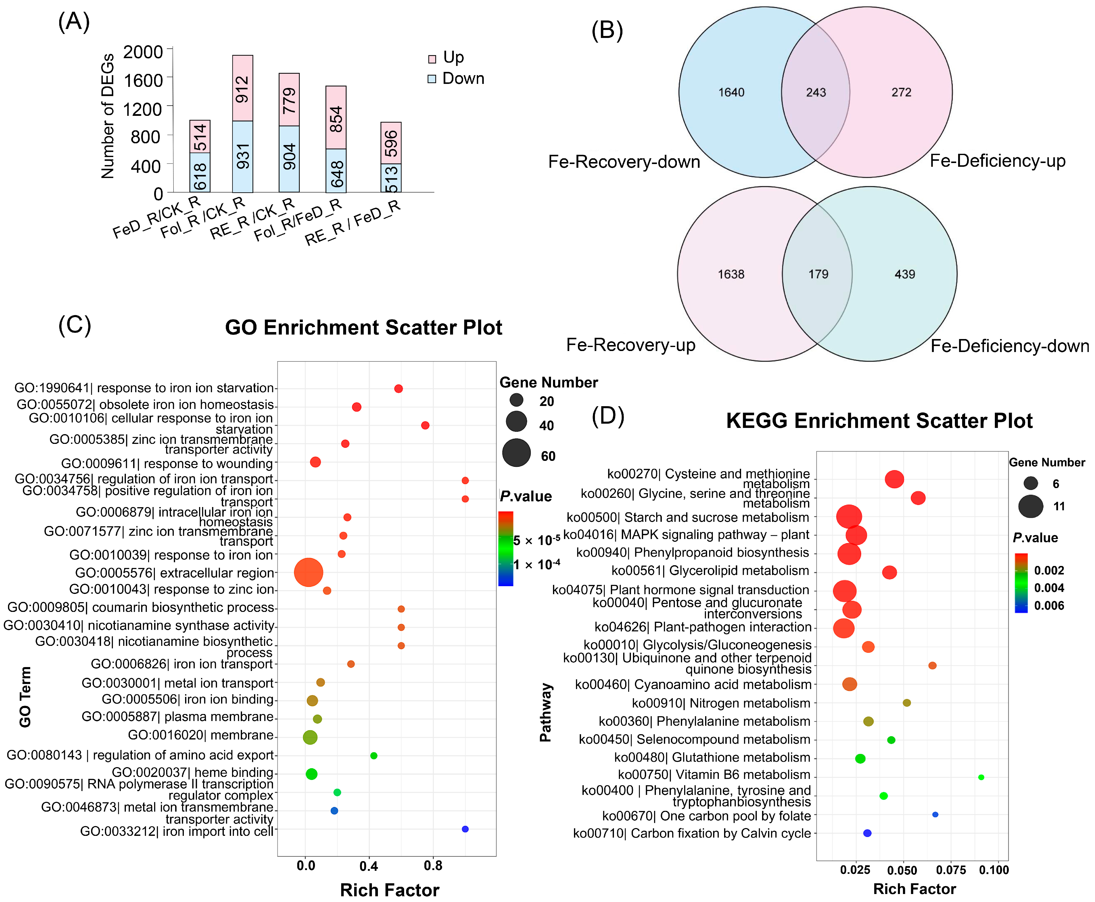 Identification of miRNAs Responsive to a Defined Period of Iron ...