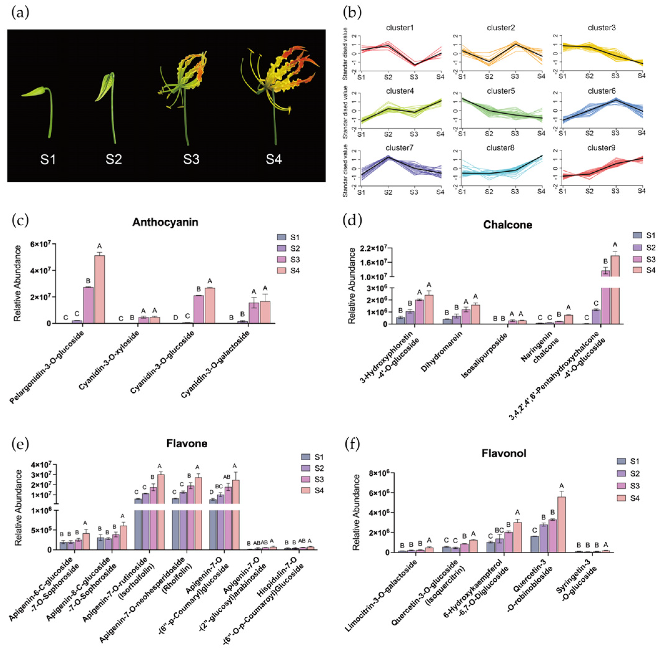 Multi-Omics Analysis Provides Insights into Developmental Tepal ...
