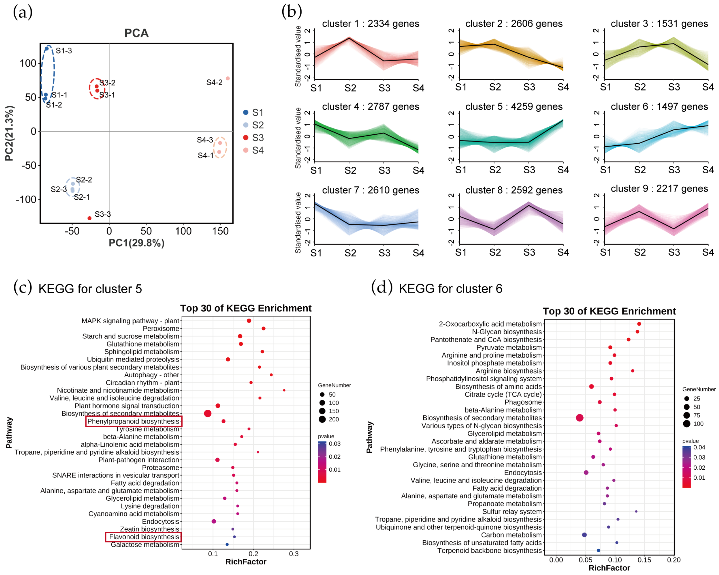 Multi-Omics Analysis Provides Insights into Developmental Tepal ...