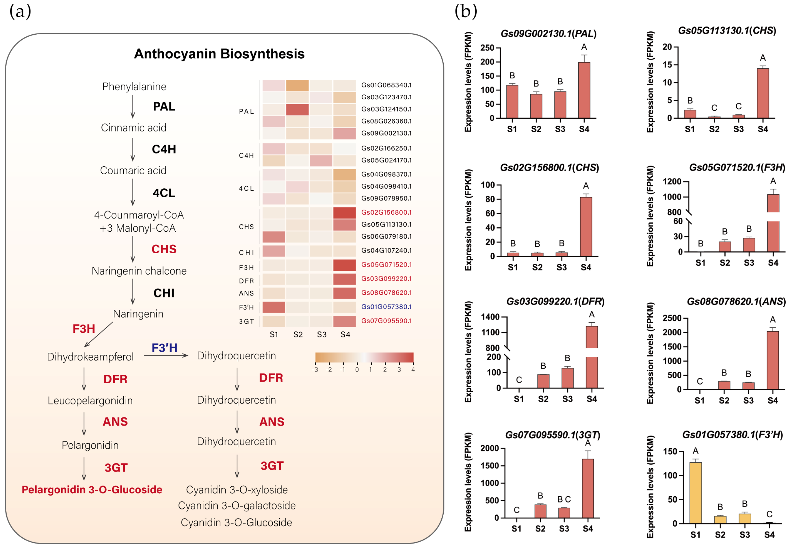 Multi-Omics Analysis Provides Insights into Developmental Tepal ...