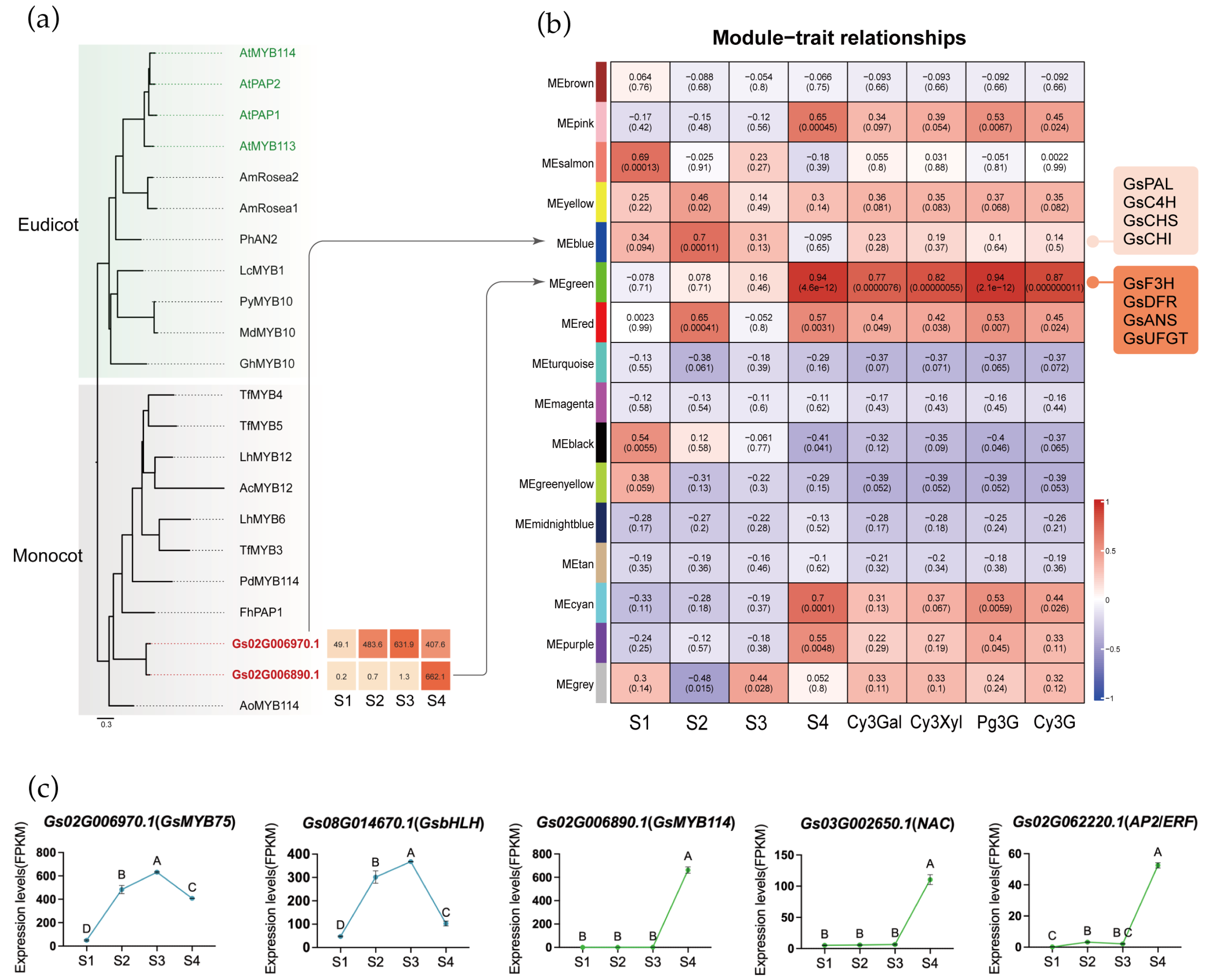 Multi-Omics Analysis Provides Insights into Developmental Tepal ...