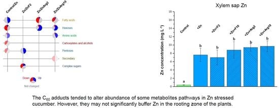 Physiological and Metabolic Changes Induced by Fullerene C60 ...