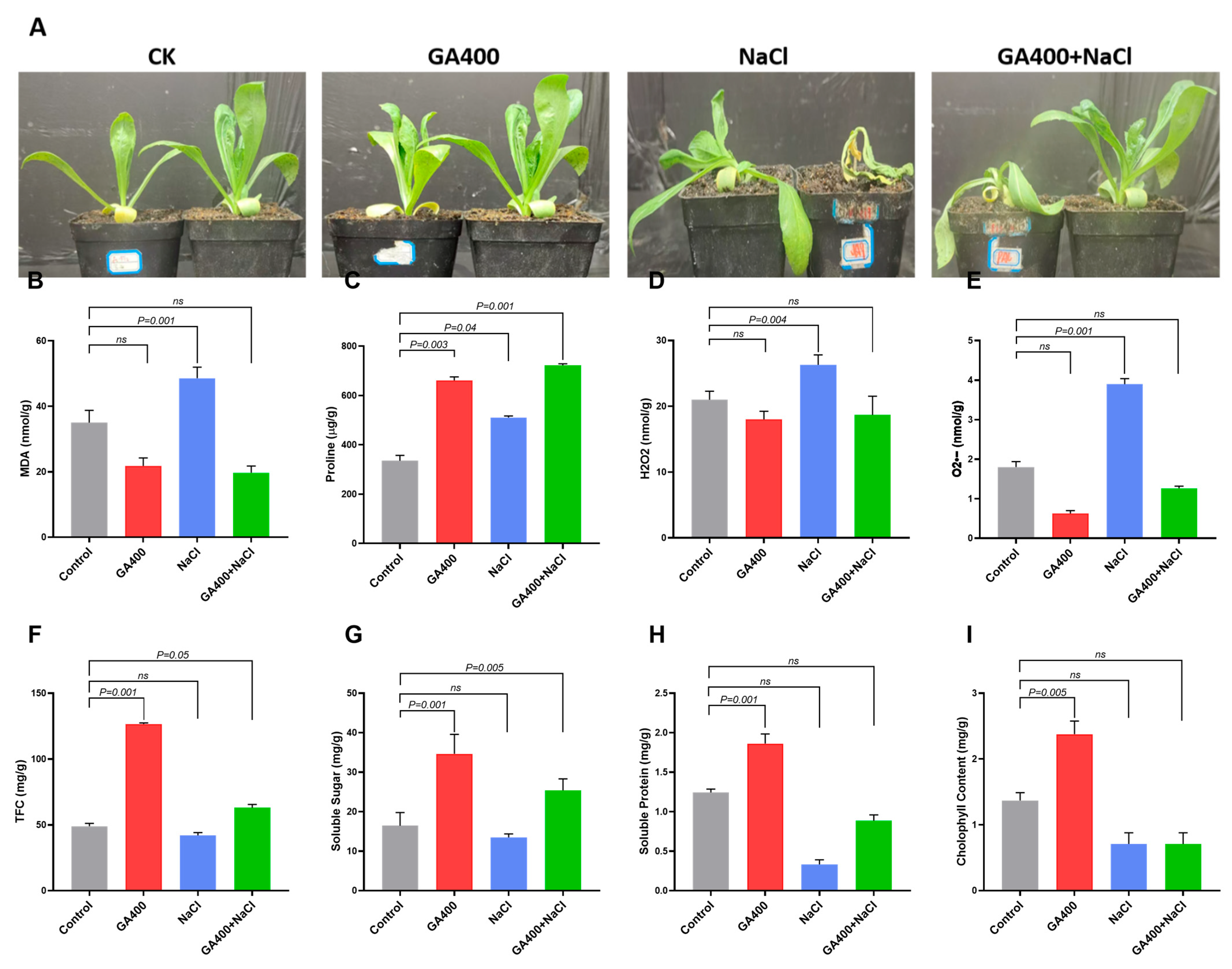 Gibberellic Acid-Induced Regulation of Antioxidant–Flavonoid Channels ...
