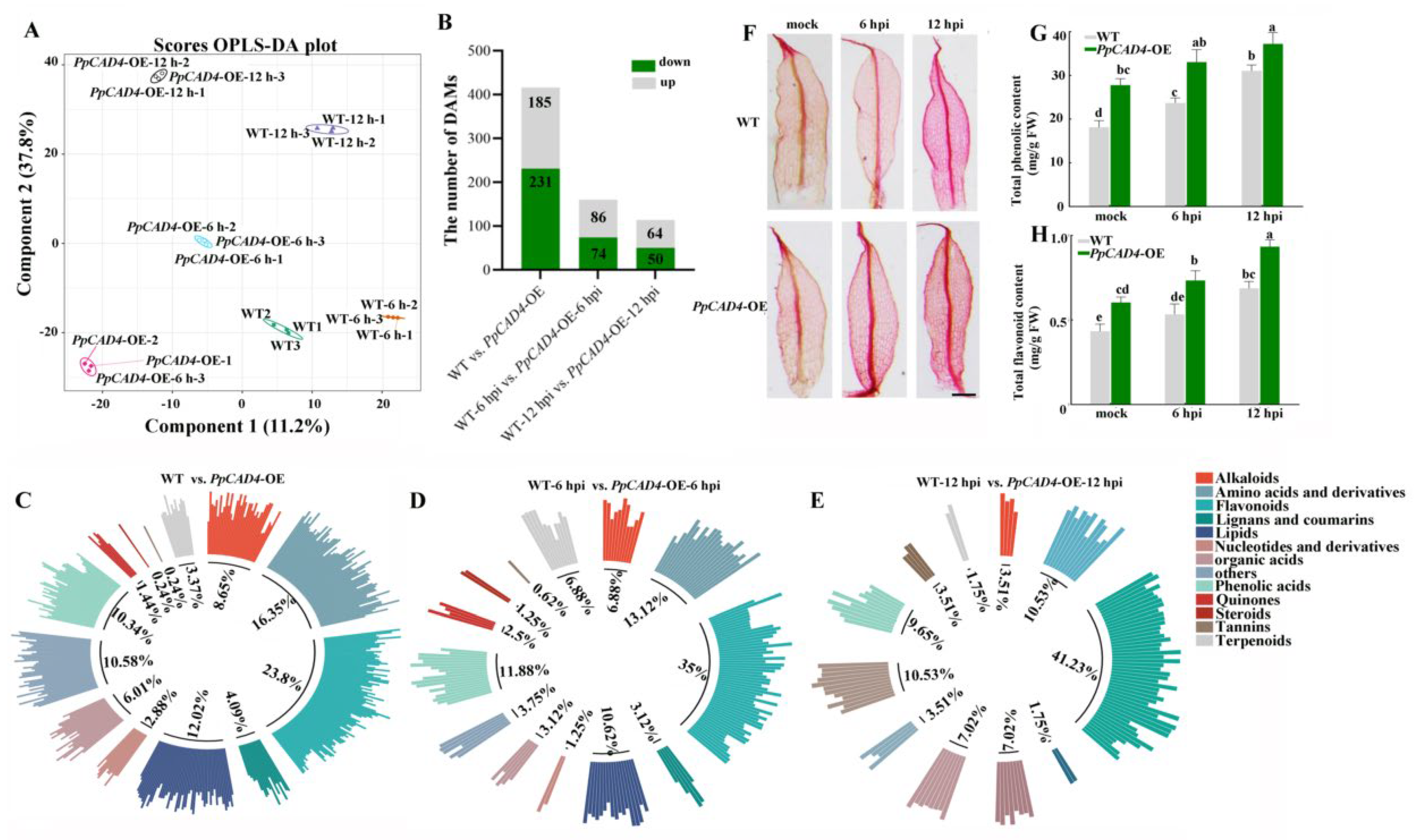 The Defense Mechanism of PpCAD4 in Physcomitrium patens Against ...
