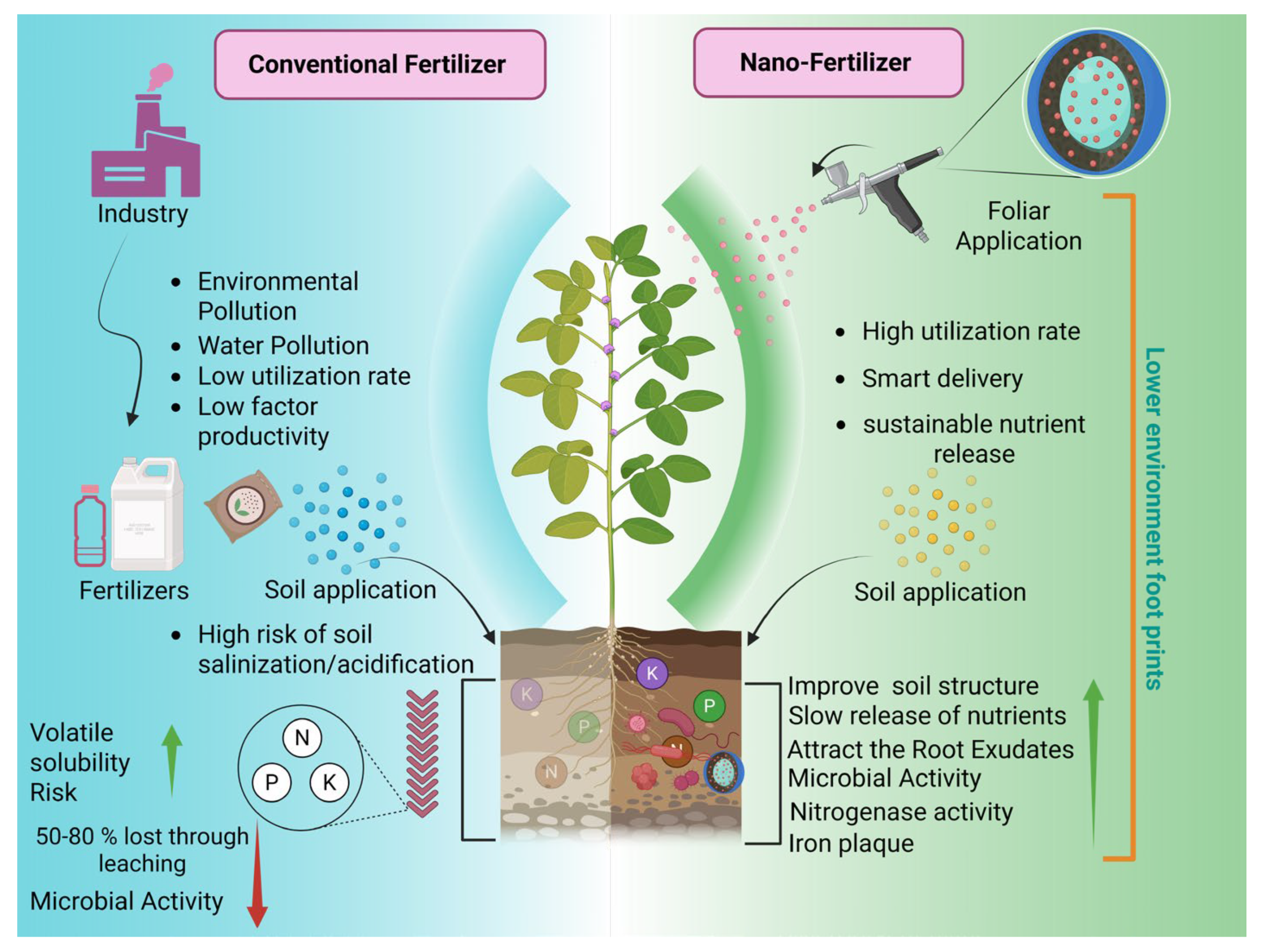 From Nanomaterials to Nanofertilizers: Applications, Ecological Risks ...