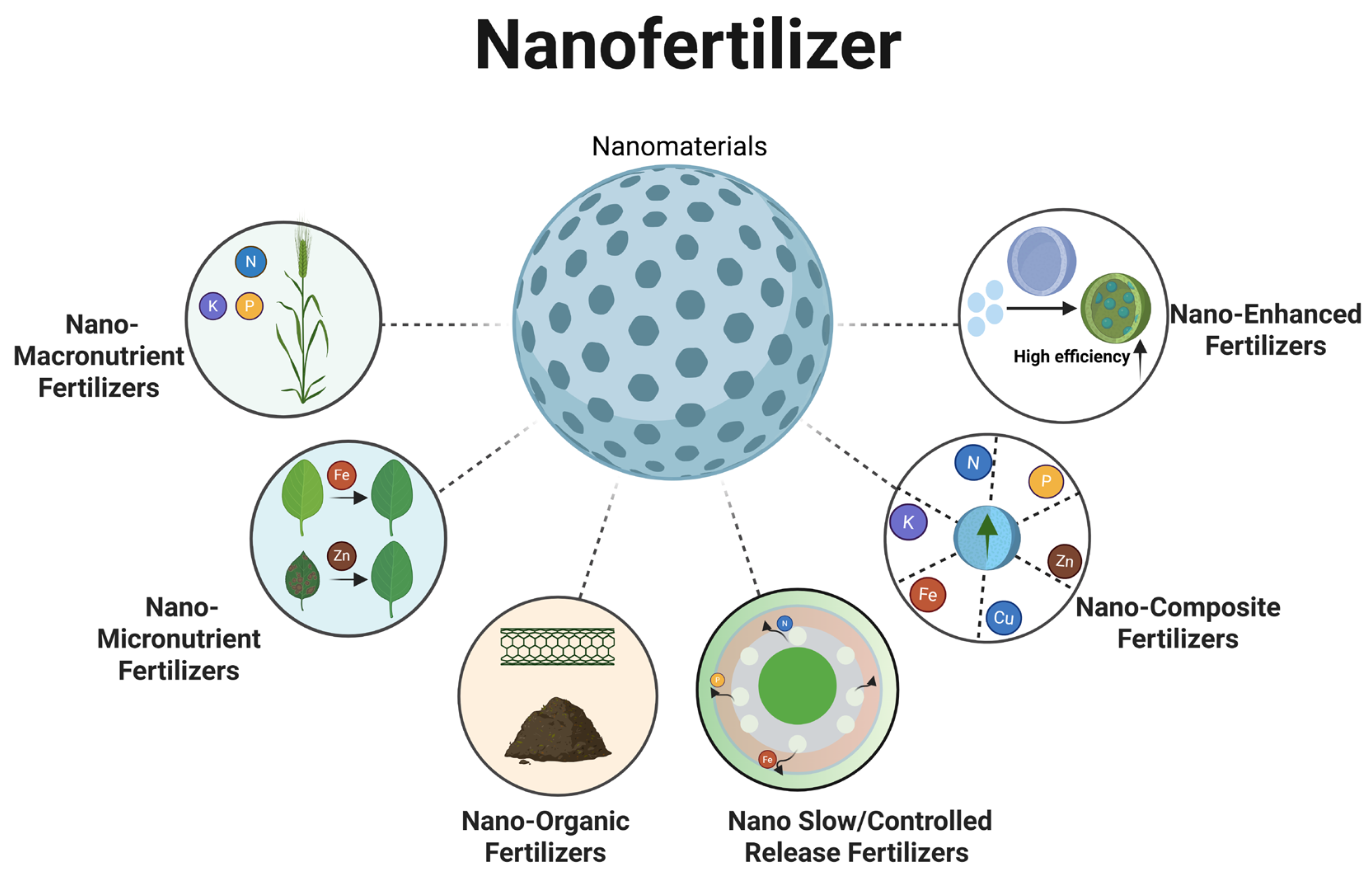 From Nanomaterials to Nanofertilizers: Applications, Ecological Risks ...