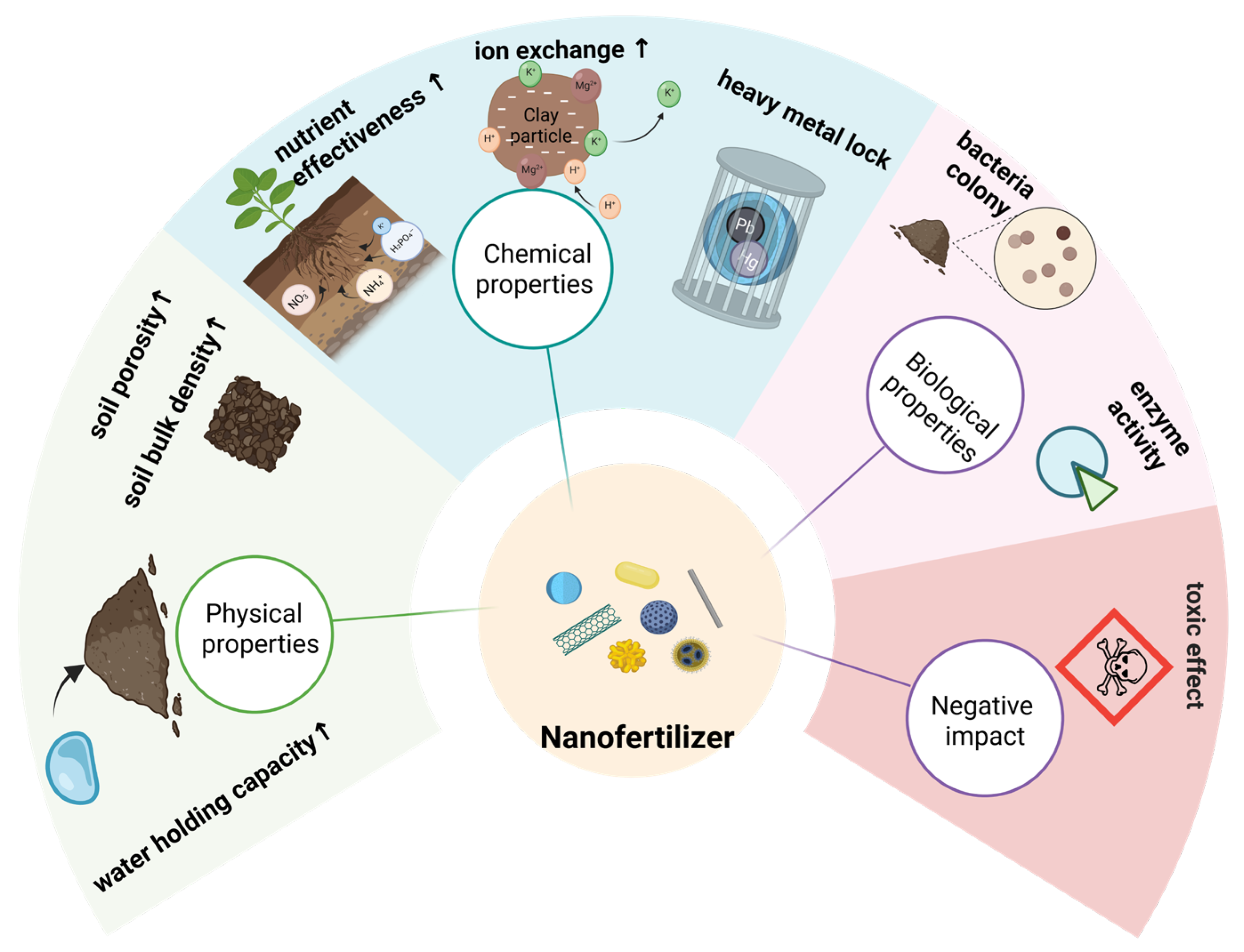 From Nanomaterials to Nanofertilizers: Applications, Ecological Risks ...