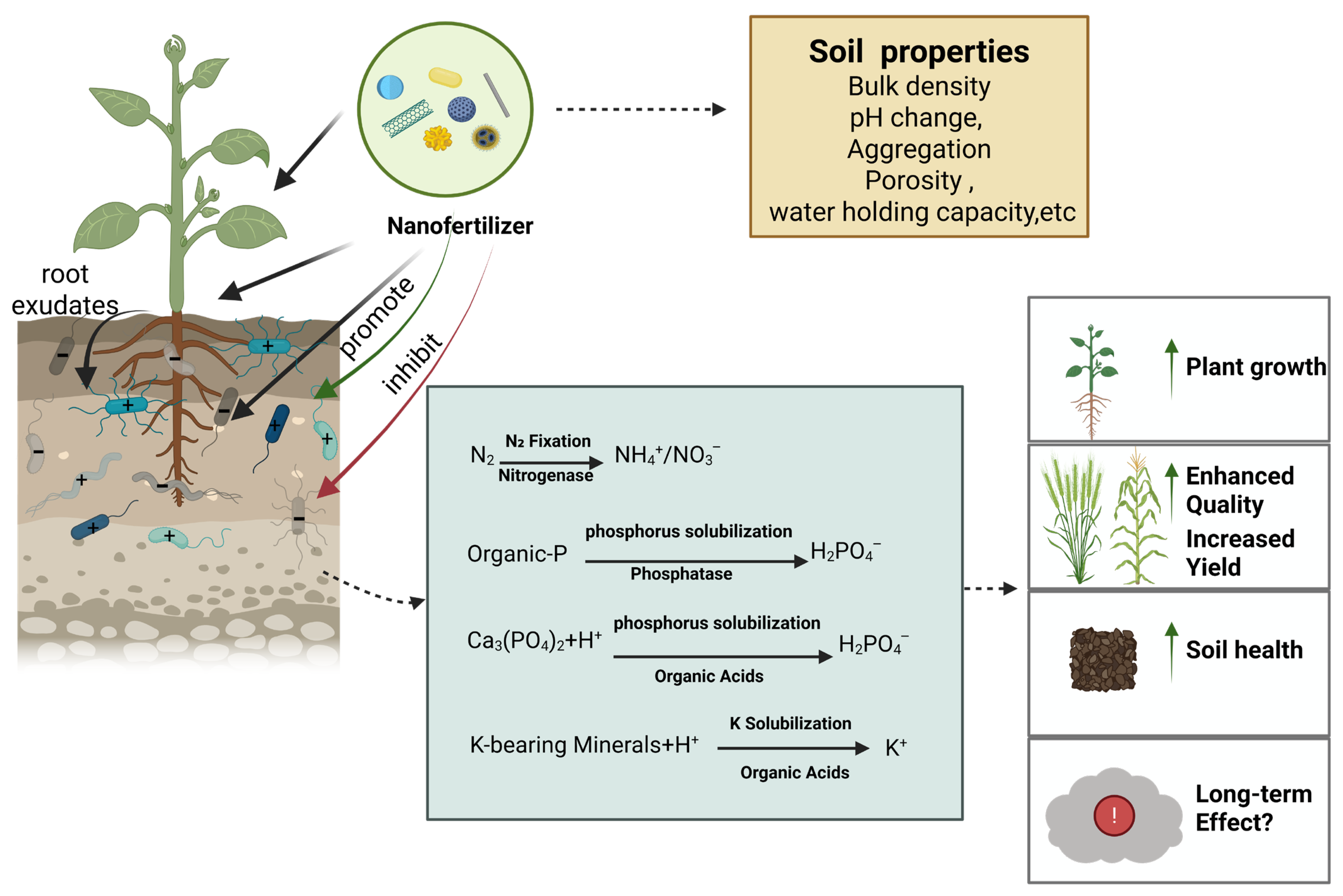 From Nanomaterials to Nanofertilizers: Applications, Ecological Risks ...