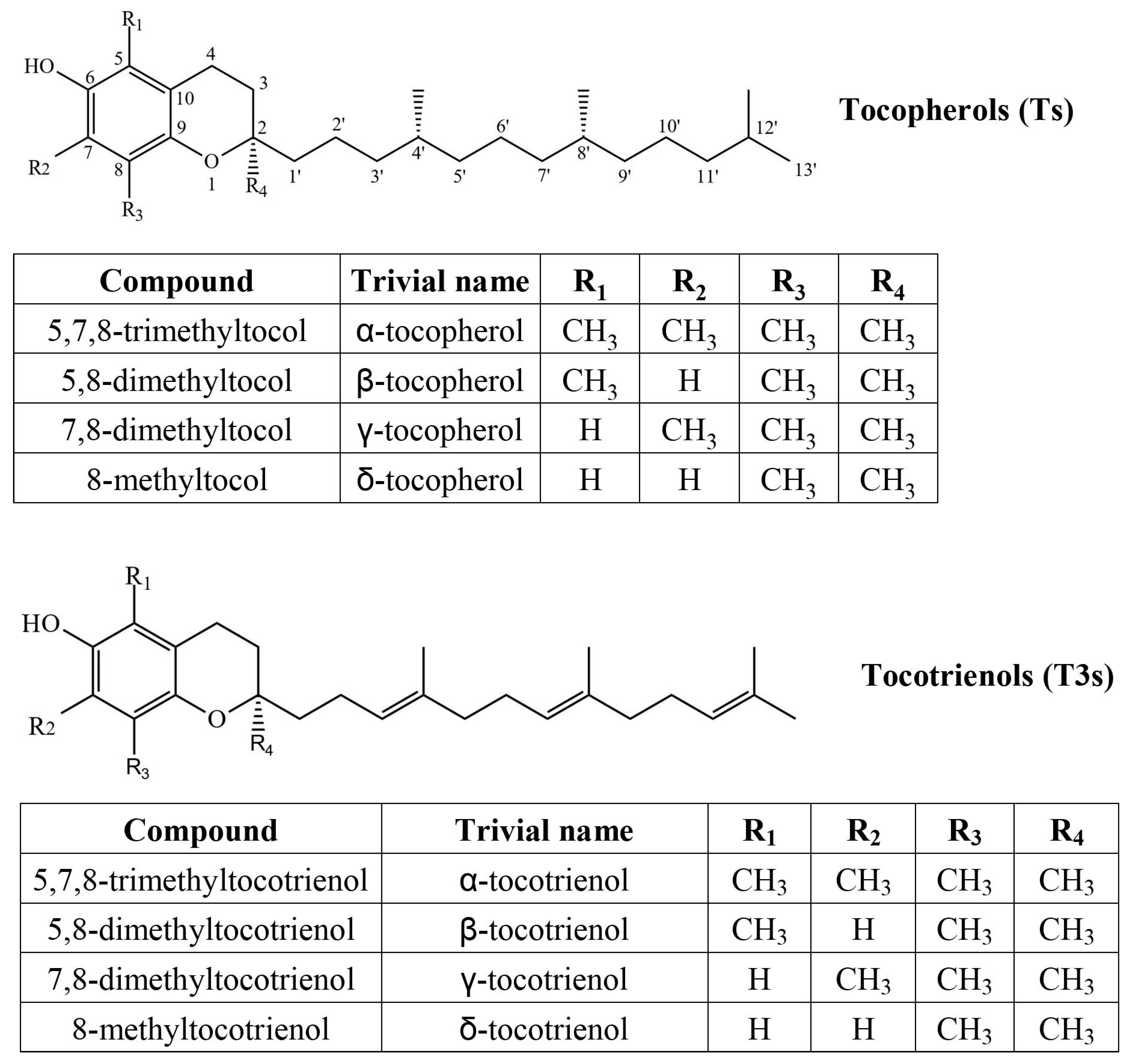 Taxonomy—Dependent Seed Tocochromanol Composition in the Rutaceae ...