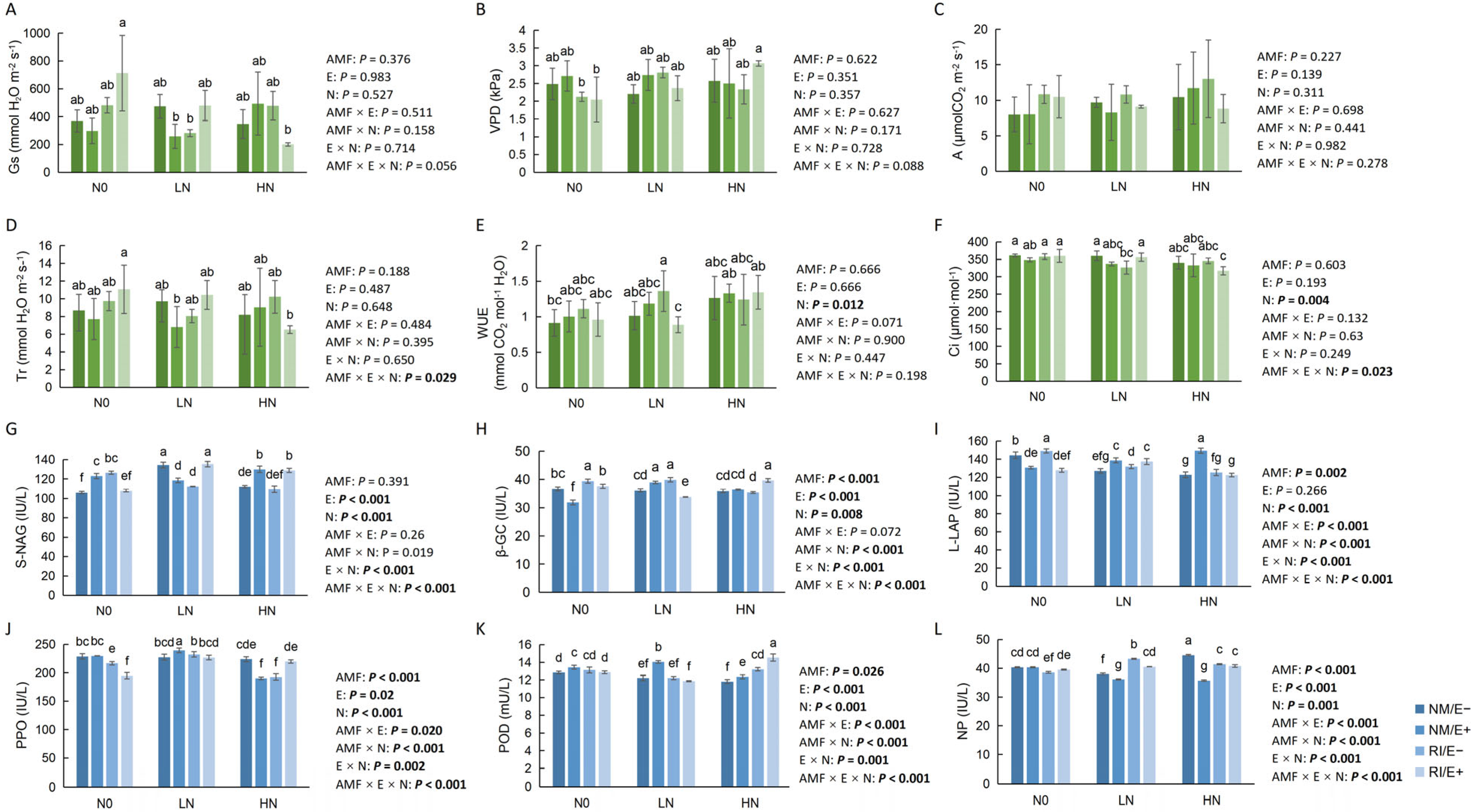 The Heterogeneous Effects of Epichloë and Rhizophagus irregularis on ...