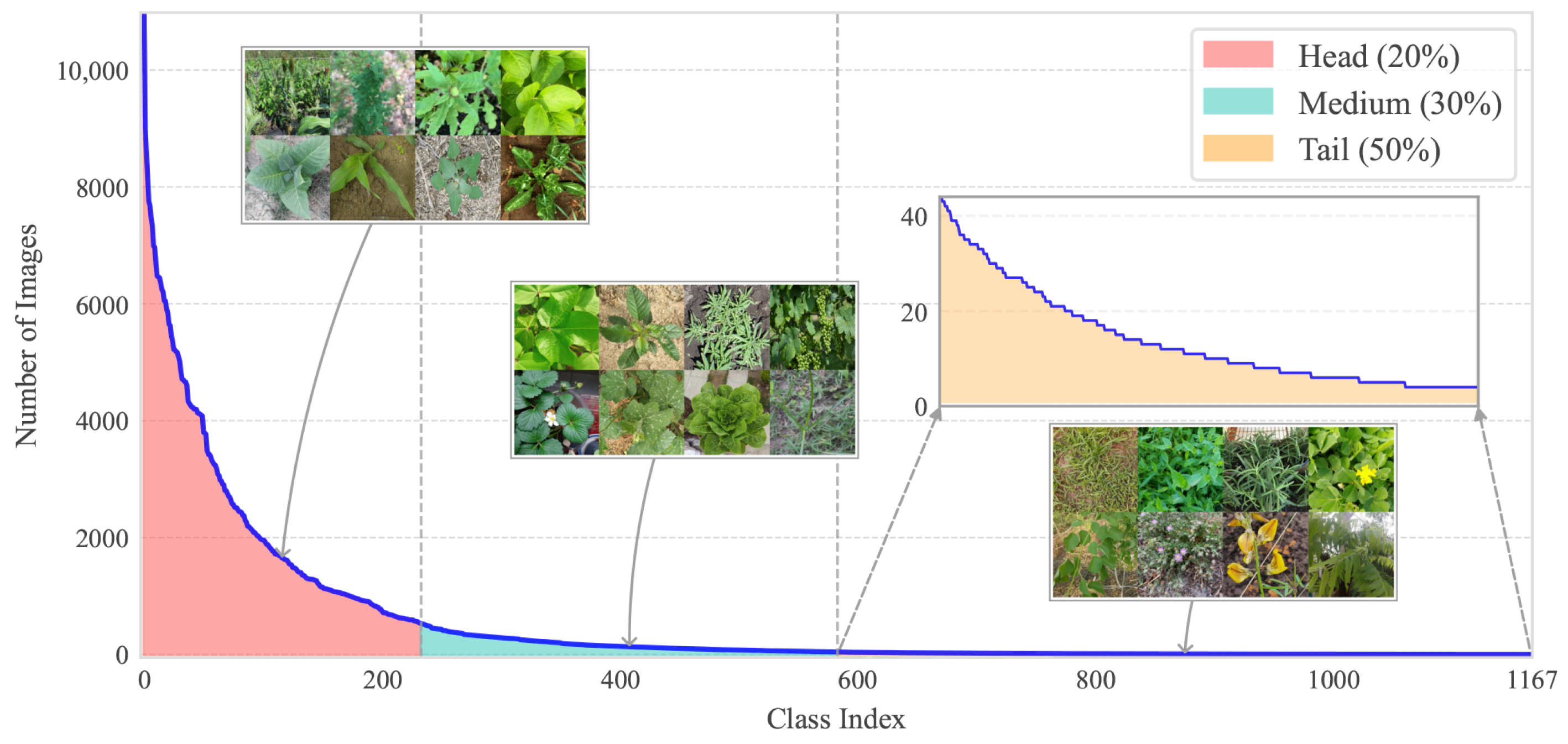 OpenPlant: A Large-Scale Benchmark Dataset for Agricultural Plant ...