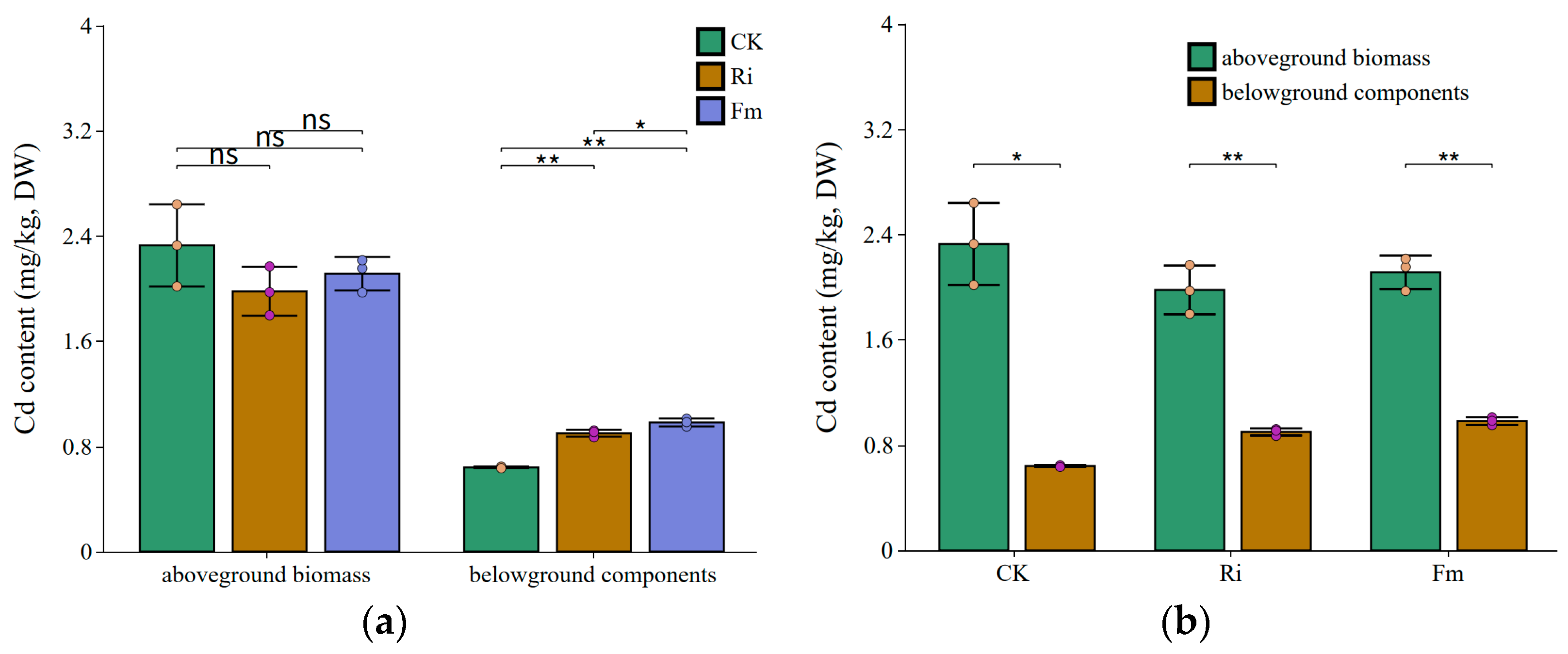 Mycorrhizal Fungi Funneliformis mosseae Mitigates Cadmium ...
