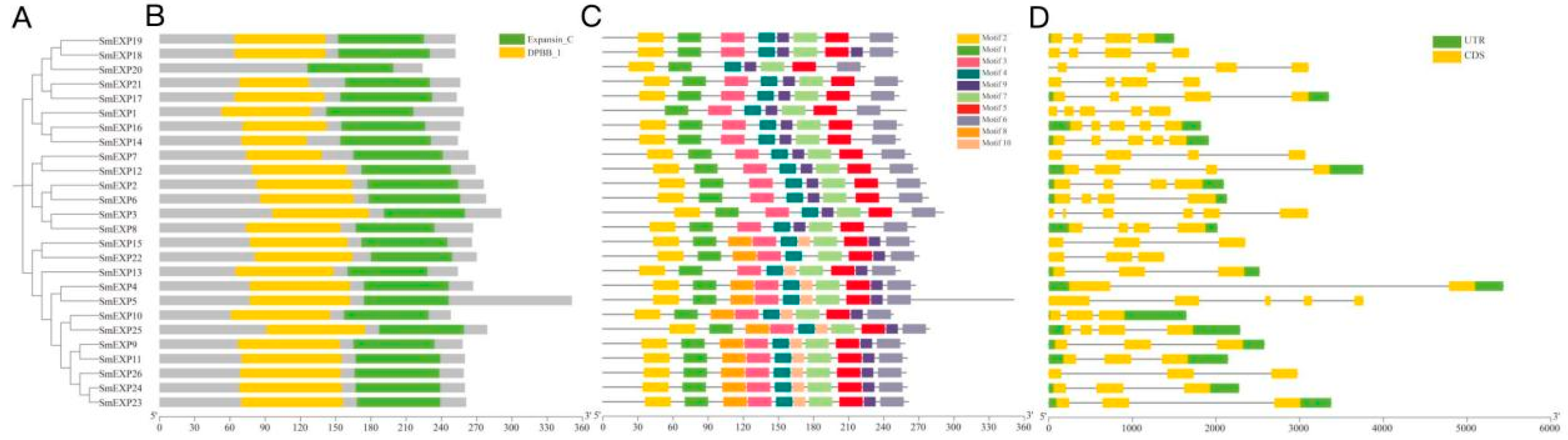 Genome-Wide Characterization of the Expansin Gene Family in Eggplant ...