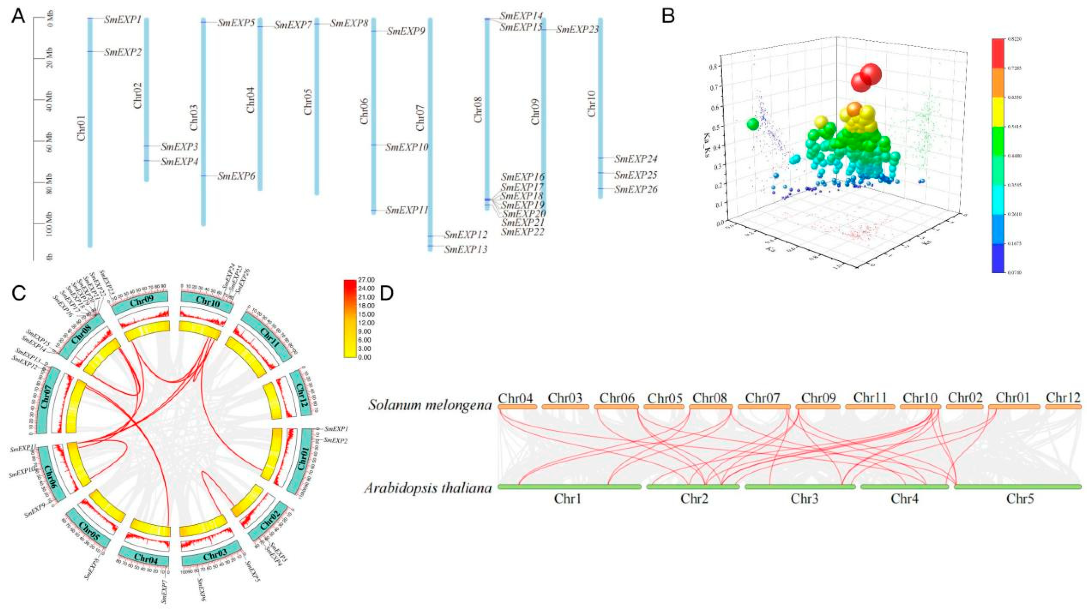 Genome-Wide Characterization of the Expansin Gene Family in Eggplant ...