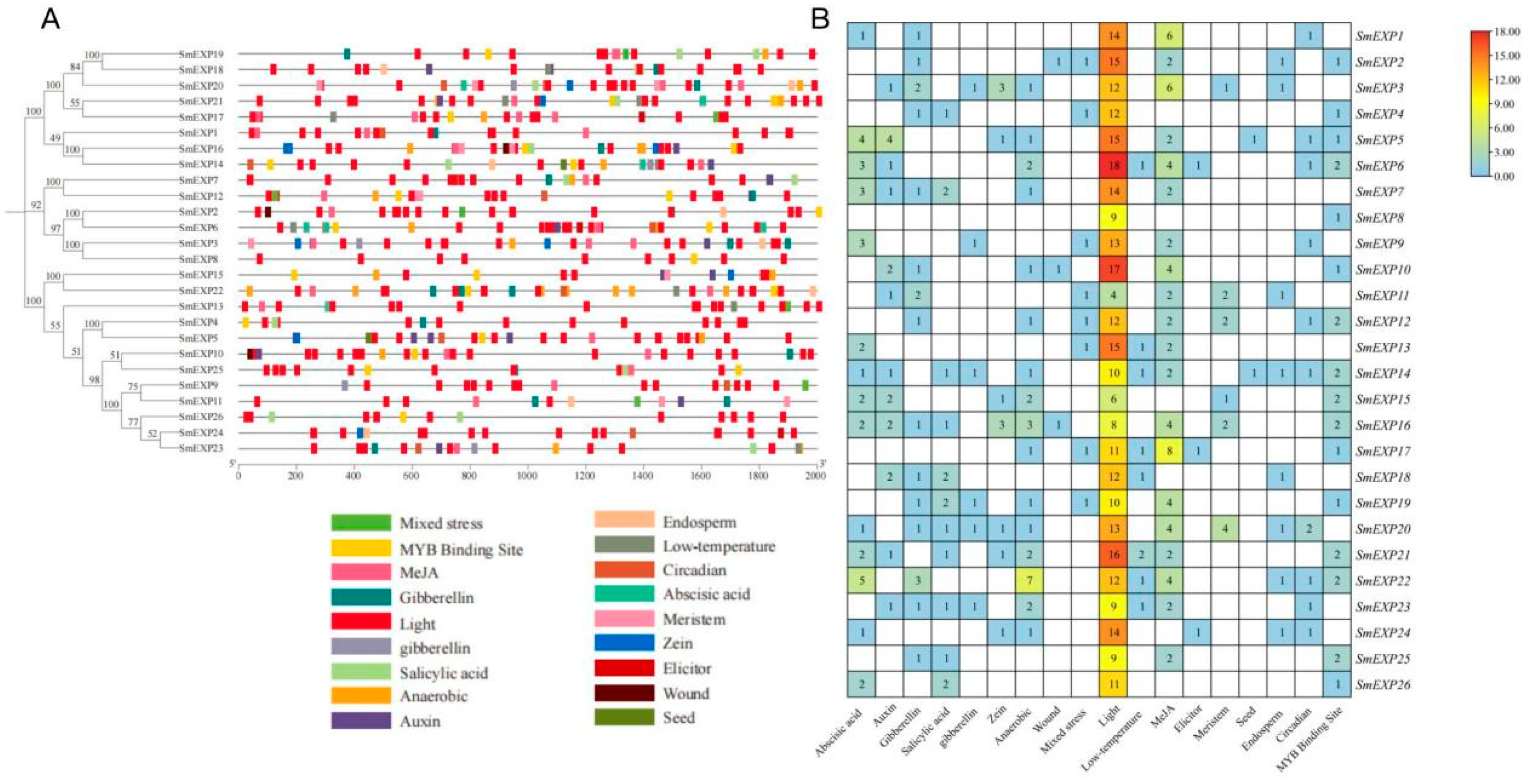 Genome-Wide Characterization of the Expansin Gene Family in Eggplant ...