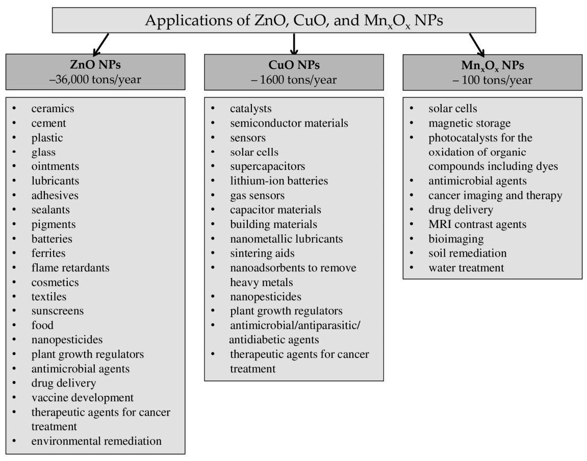 Phytotoxic and Eustress Effects of Metal Oxide Nanoparticles (CuO ...