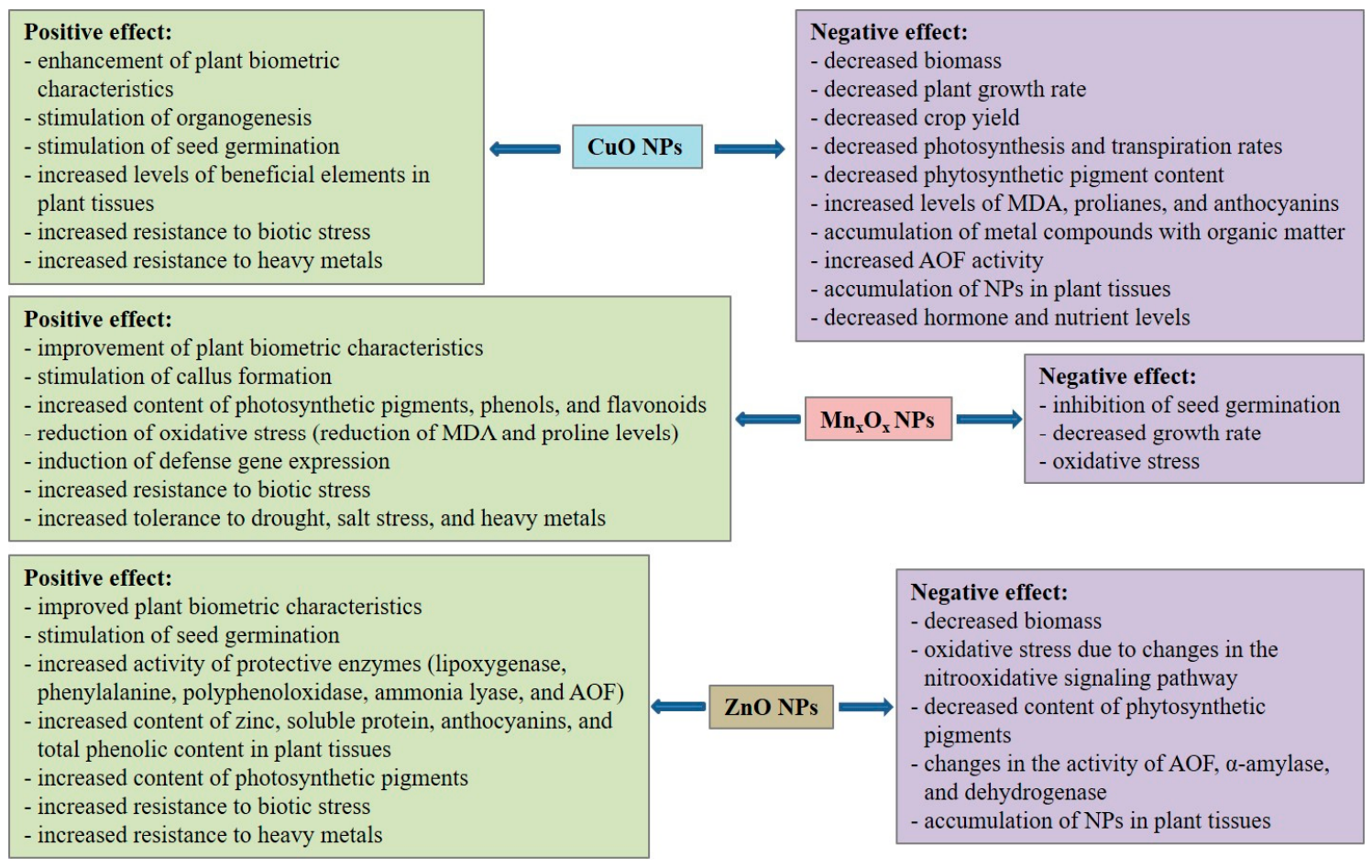 Phytotoxic and Eustress Effects of Metal Oxide Nanoparticles (CuO ...