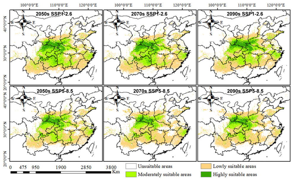 Impacts of Climate Change on the Geographic Distribution of Dioscorea ...