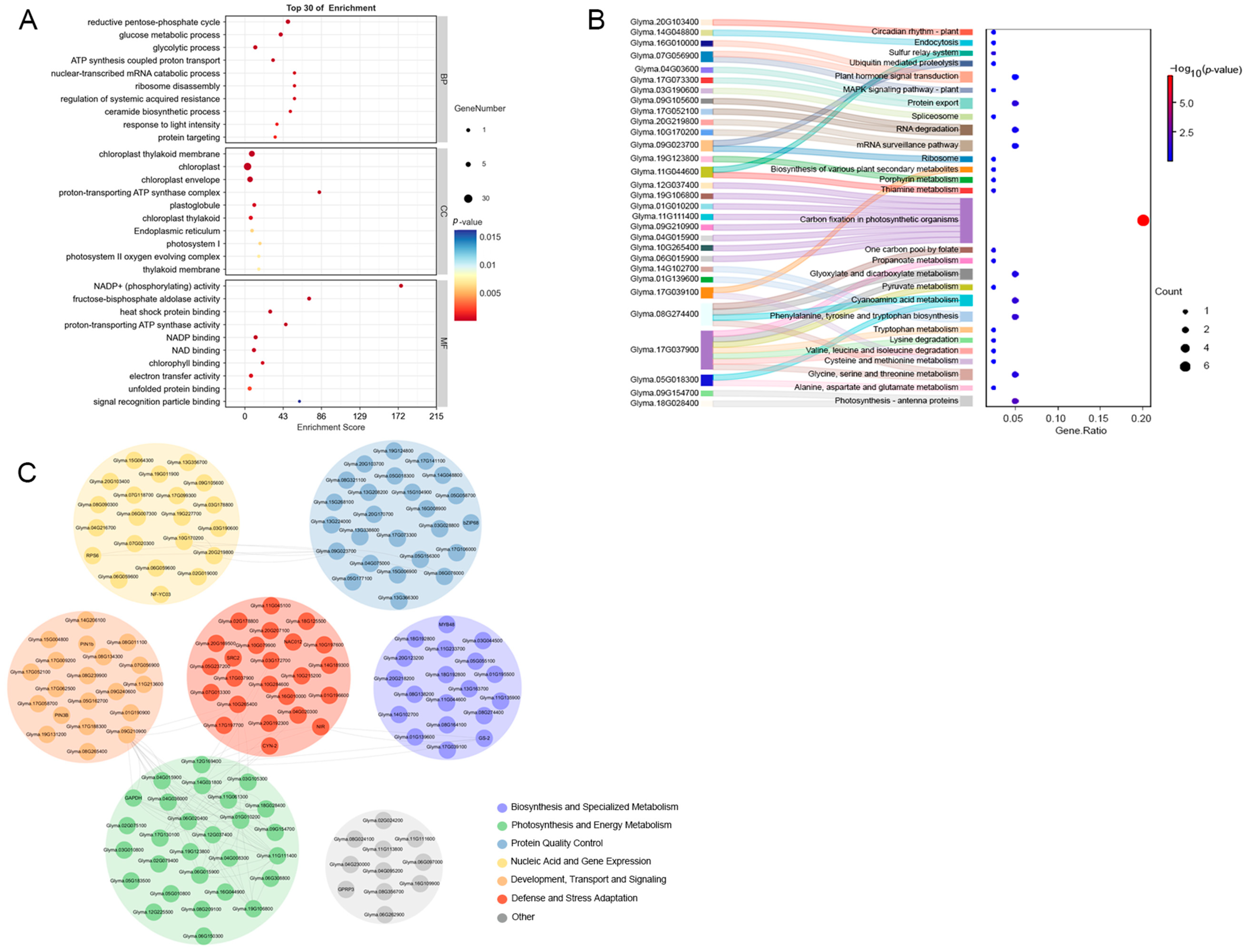 Systematic Screening of Host Interactors for Soybean mosaic virus ...