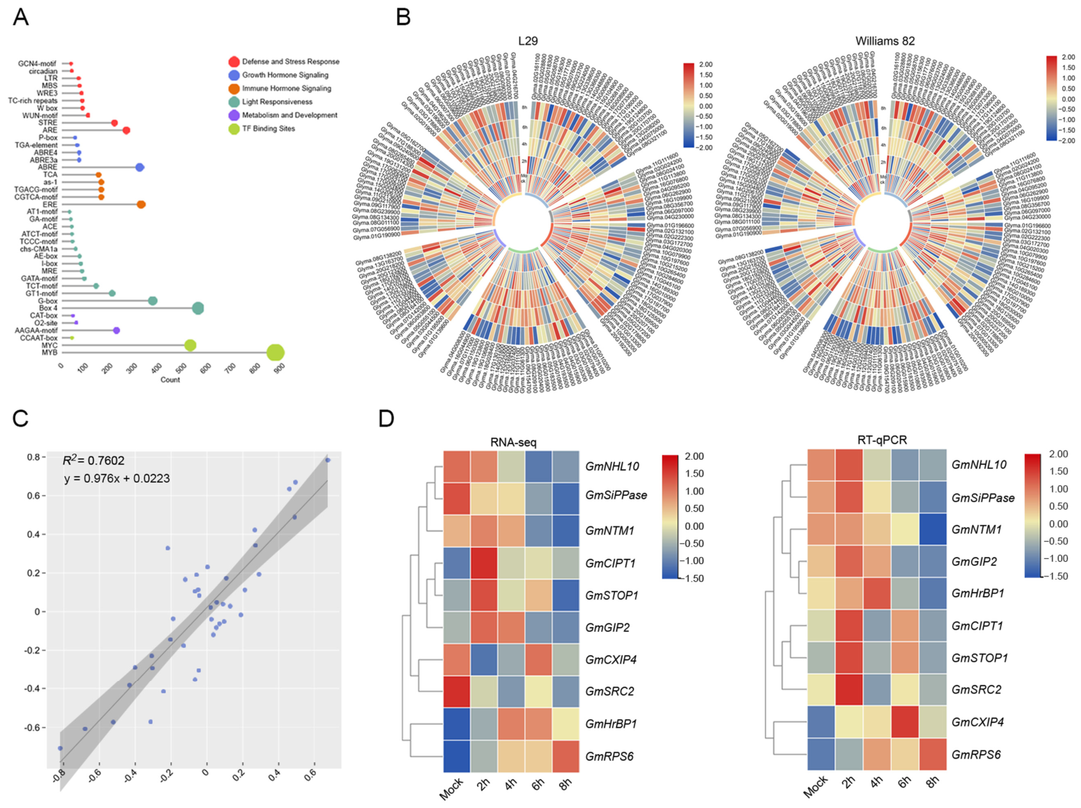 Systematic Screening of Host Interactors for Soybean mosaic virus ...