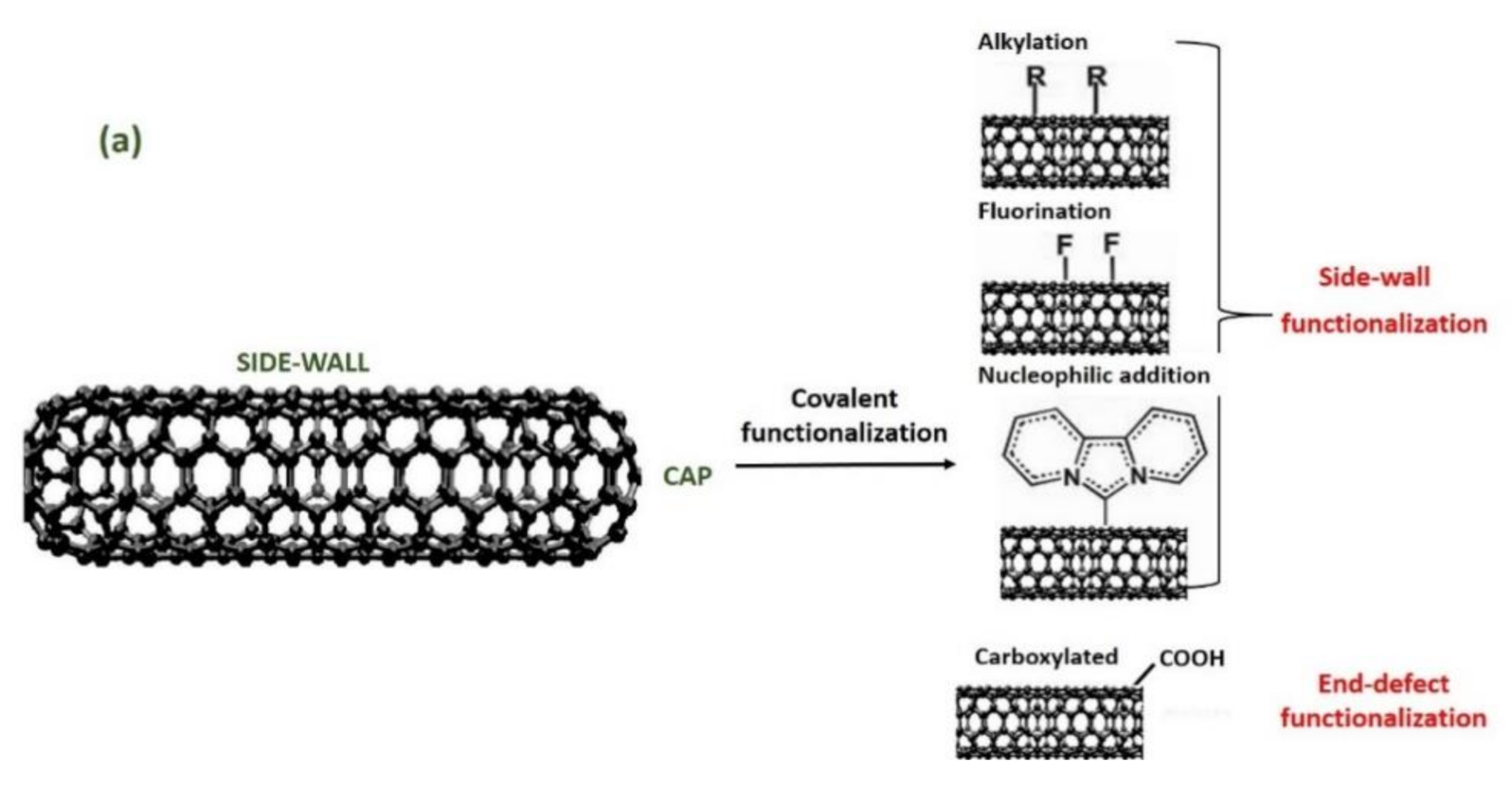 Fabrication Functionalization And Application Of Carbon Nanotube Fabrication Functionalization And Application Of Carbon Nanotube