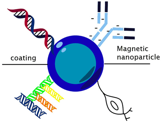 Polymeric Composite of Magnetite Iron Oxide Nanoparticles and Their ...