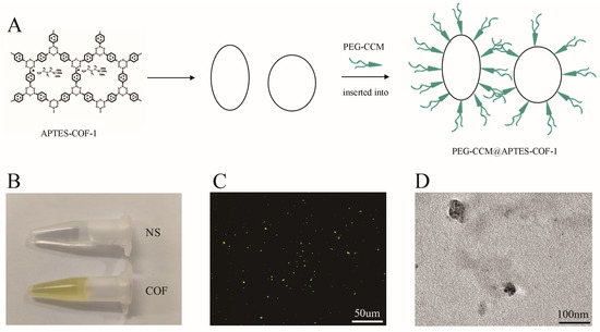 Covalent Organic Framework (COF): A Drug and Carrier to Attenuate ...