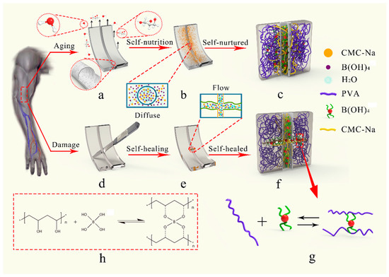 Smart Self-Nourishing and Self-Healing Artificial Skin Composite Using ...