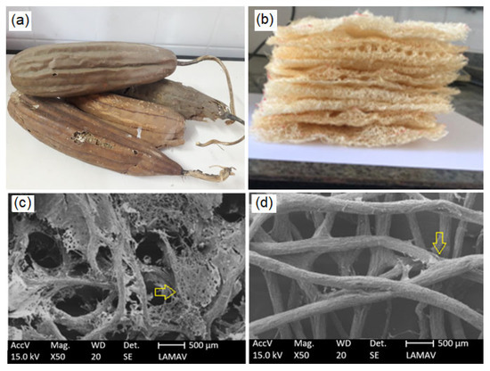 Properties of Luffa Cylindrica Mats Reinforced Castor Oil-Based ...
