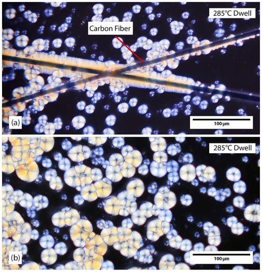Investigating the Effect of Temperature History on Crystal Morphology ...