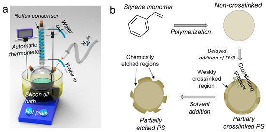 Fabrication of Partially Etched Polystyrene Nanoparticles