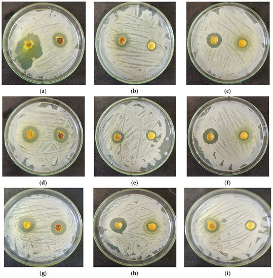 Synthesis of New Monoazo Disperse Dyes for Dyeing Polyester Fabric ...