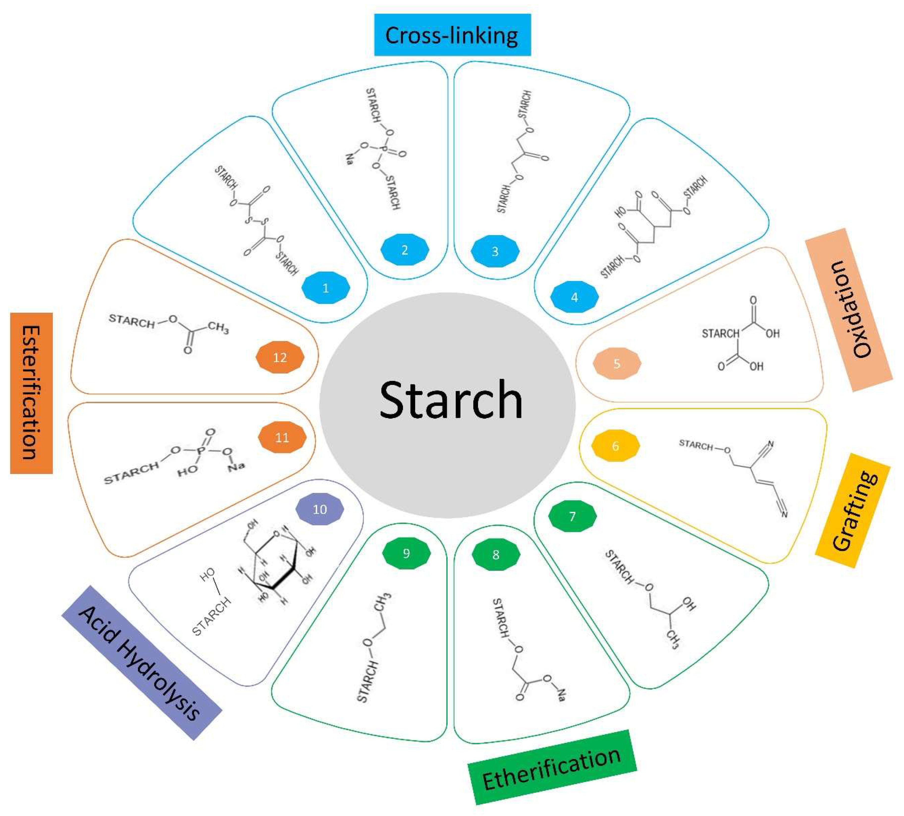 Polymers Free Full Text Customizing Starch Properties A Review Of Polymers Free Full Text Customizing Starch Properties A Review Of