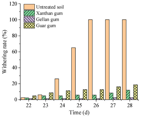 A Review on Soils Treated with Biopolymers Based on Unsaturated Soil Theory